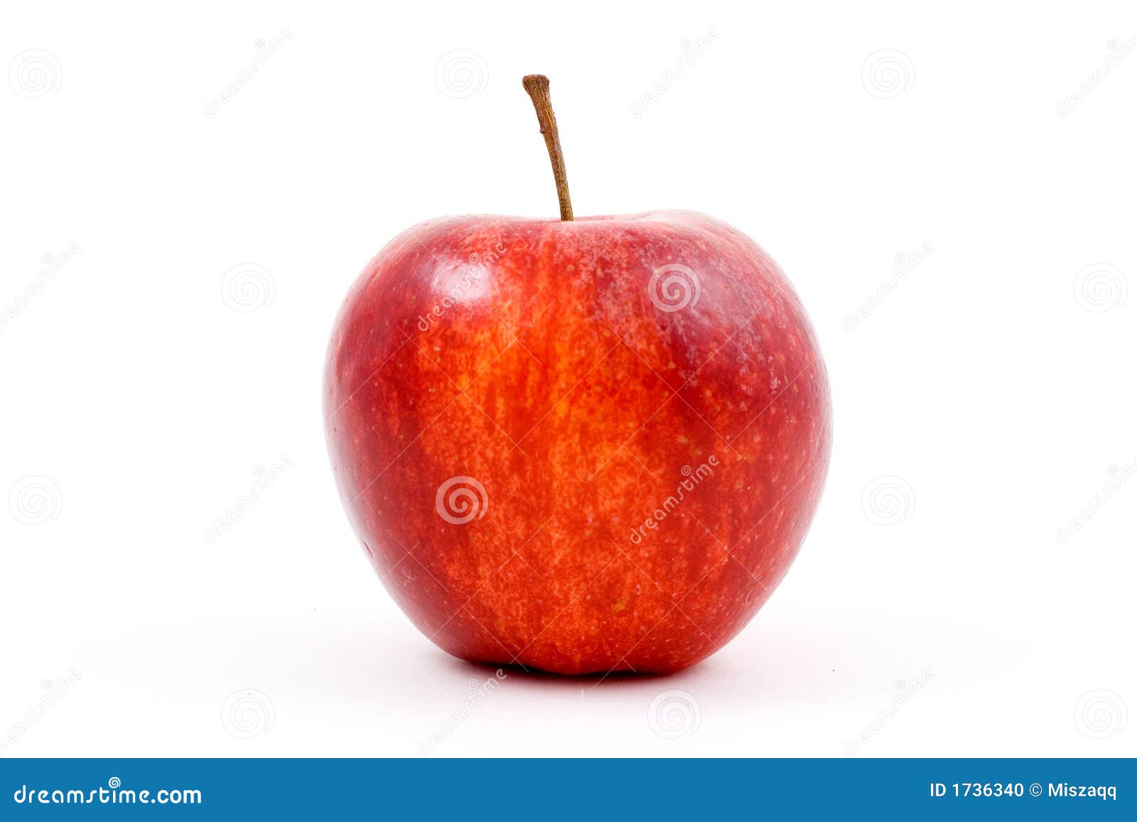 Red apple on white stock photo. Image of eating, apple - 1736340