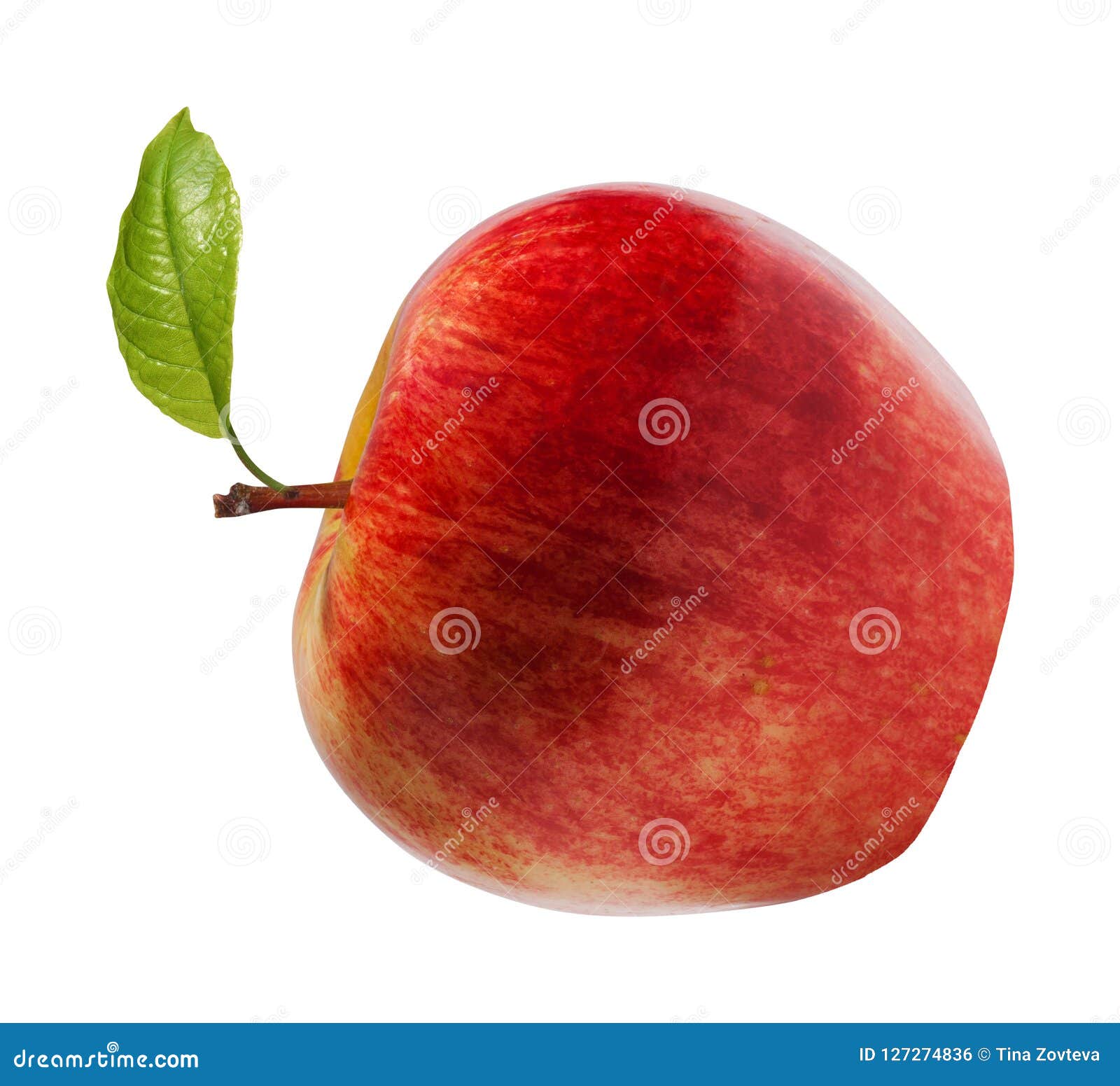Red apple on white stock photo. Image of white, delicious - 127274836