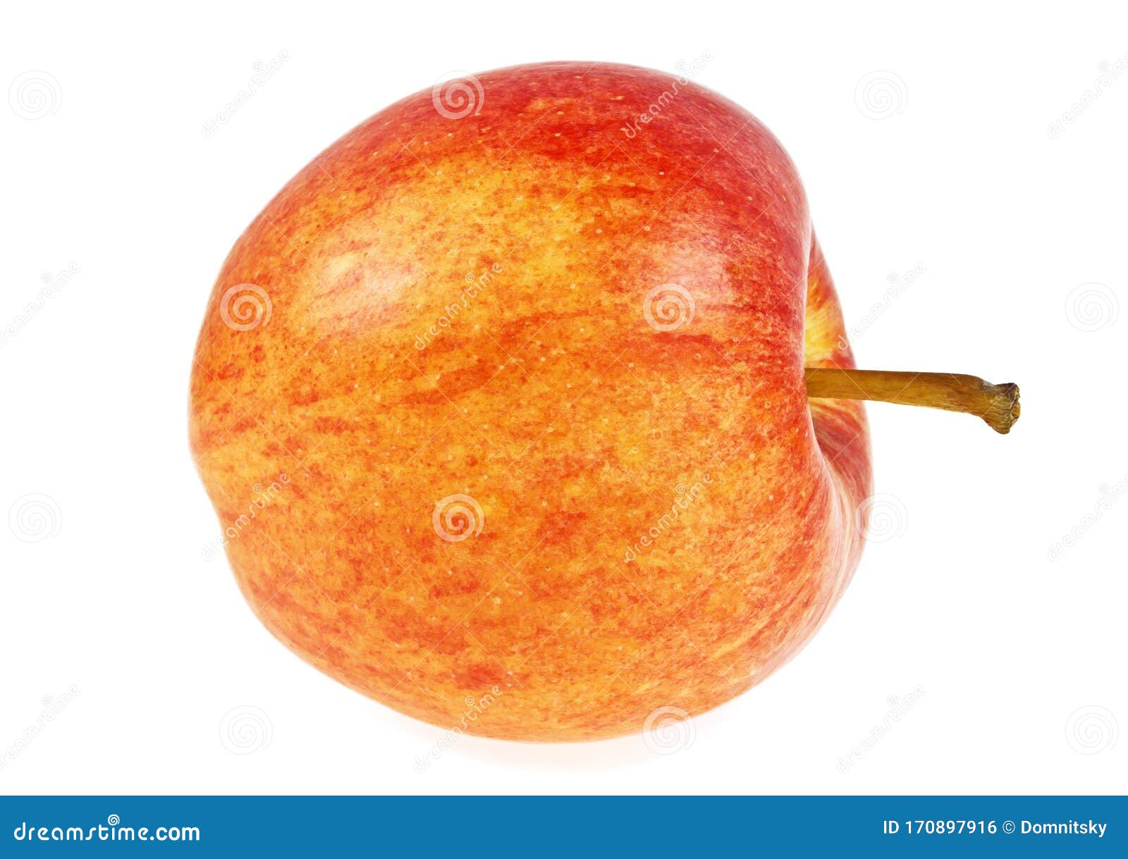 Red Apple on White Background Stock Photo - Image of healthy, closeup ...
