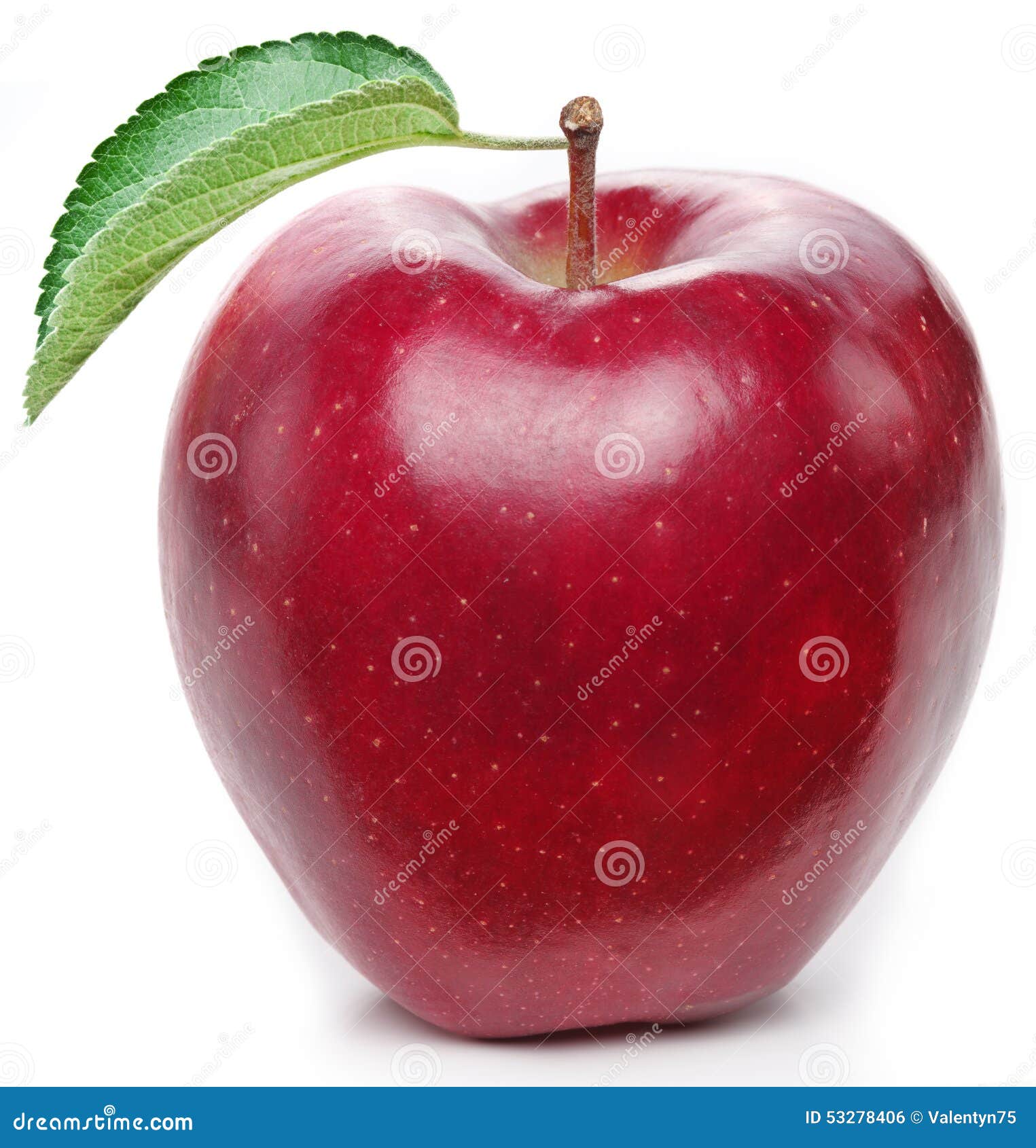 Red Apple on a White Background. Stock Photo - Image of background ...