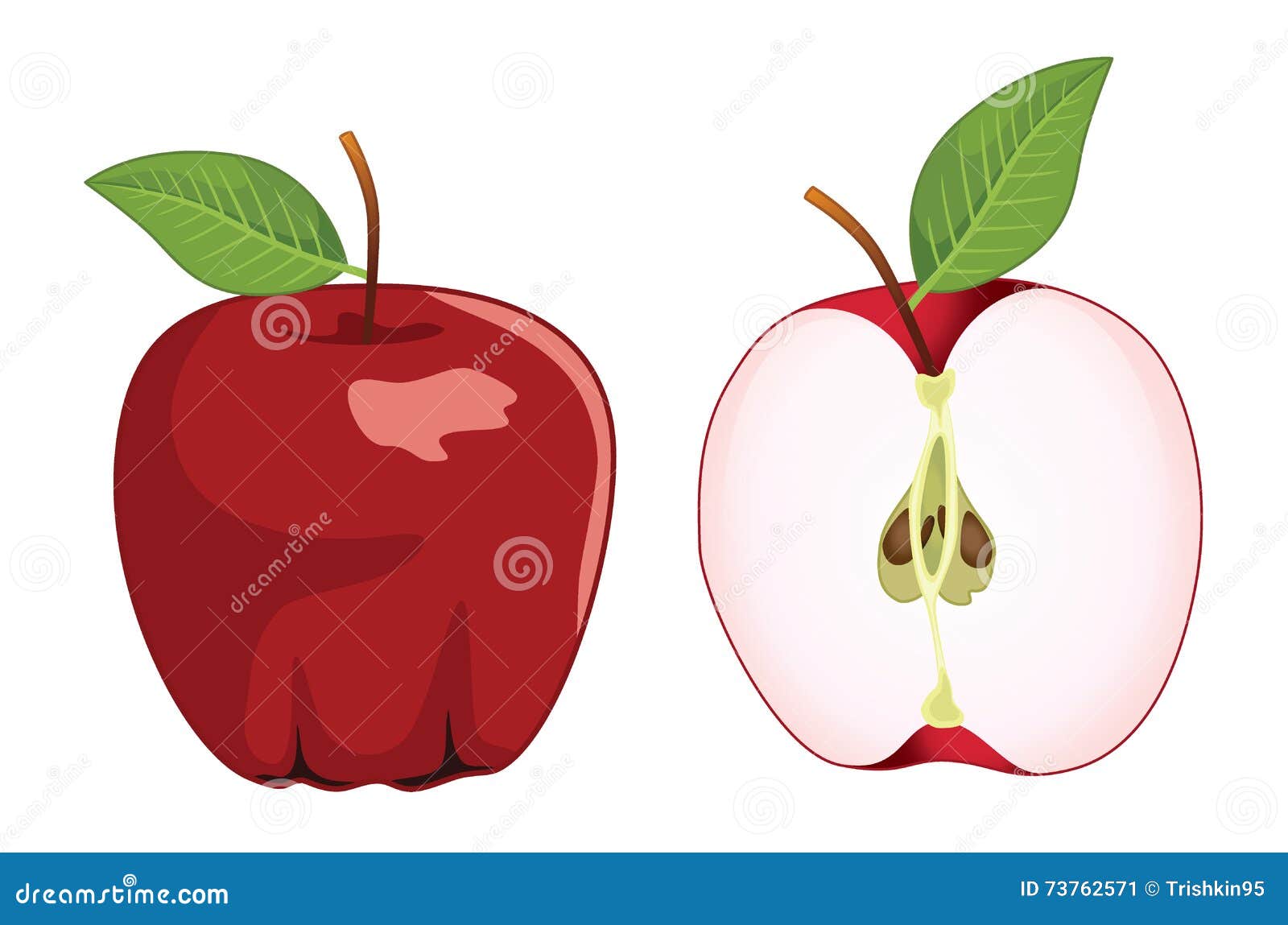Red Apple Whole and Half Apple , Vector Set Stock Illustration ...