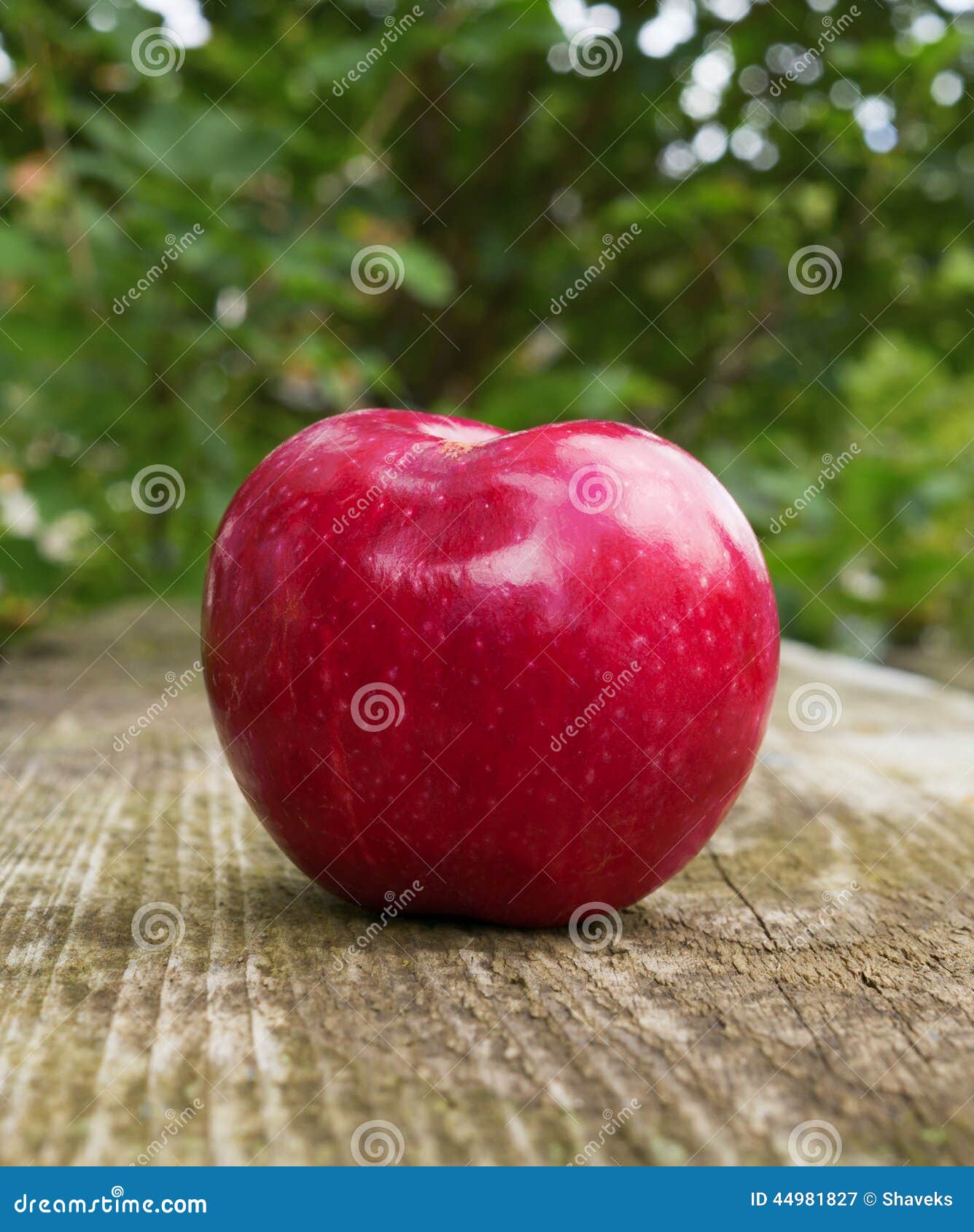 Red apple on wood table stock image. Image of table, healthy - 44981827