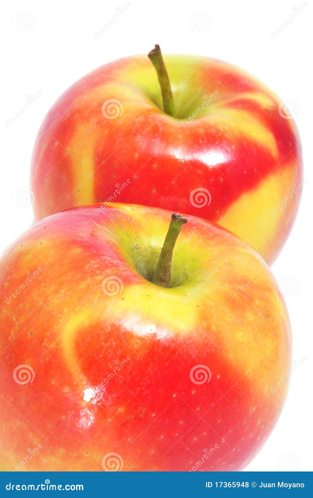 Red apples stock photo. Image of organic, produce, isolated - 17365948