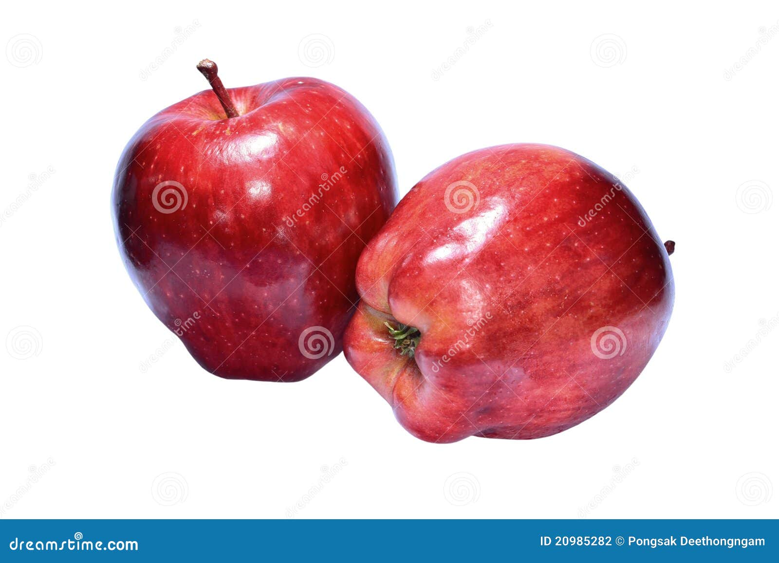 Red apples stock photo. Image of breakfast, fruit, lifestyle - 20985282