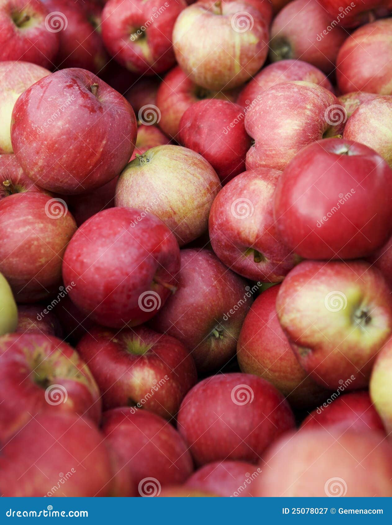 Red Apples stock image. Image of full, delicious, trentinoalto - 25078027