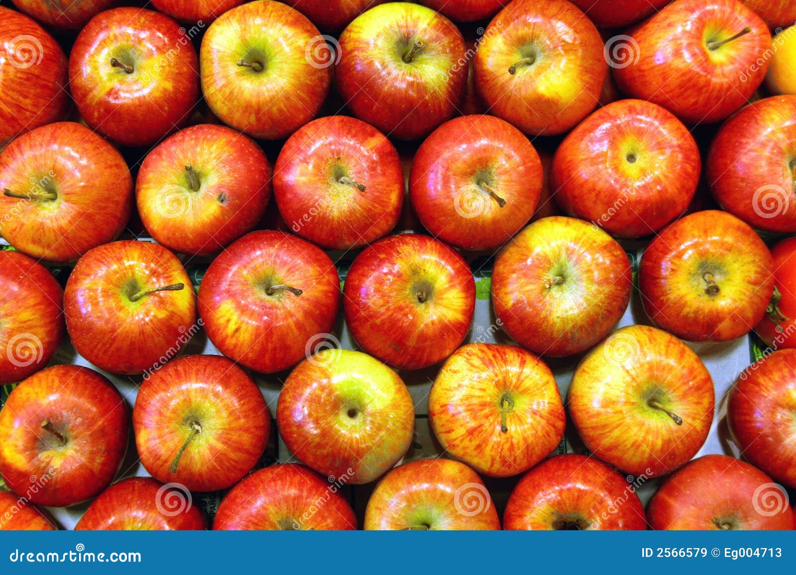 Red Apples stock image. Image of cherry, eating, apetite - 2566579