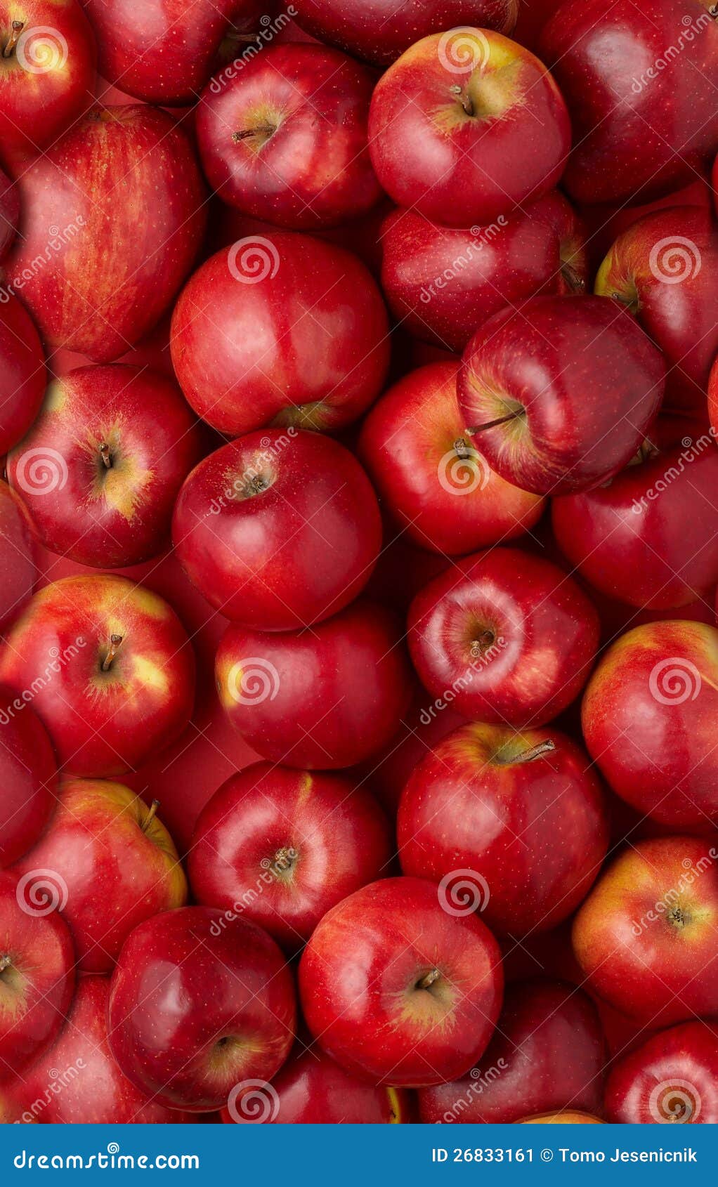 Red apples stock image. Image of apple, group, shiny - 26833161