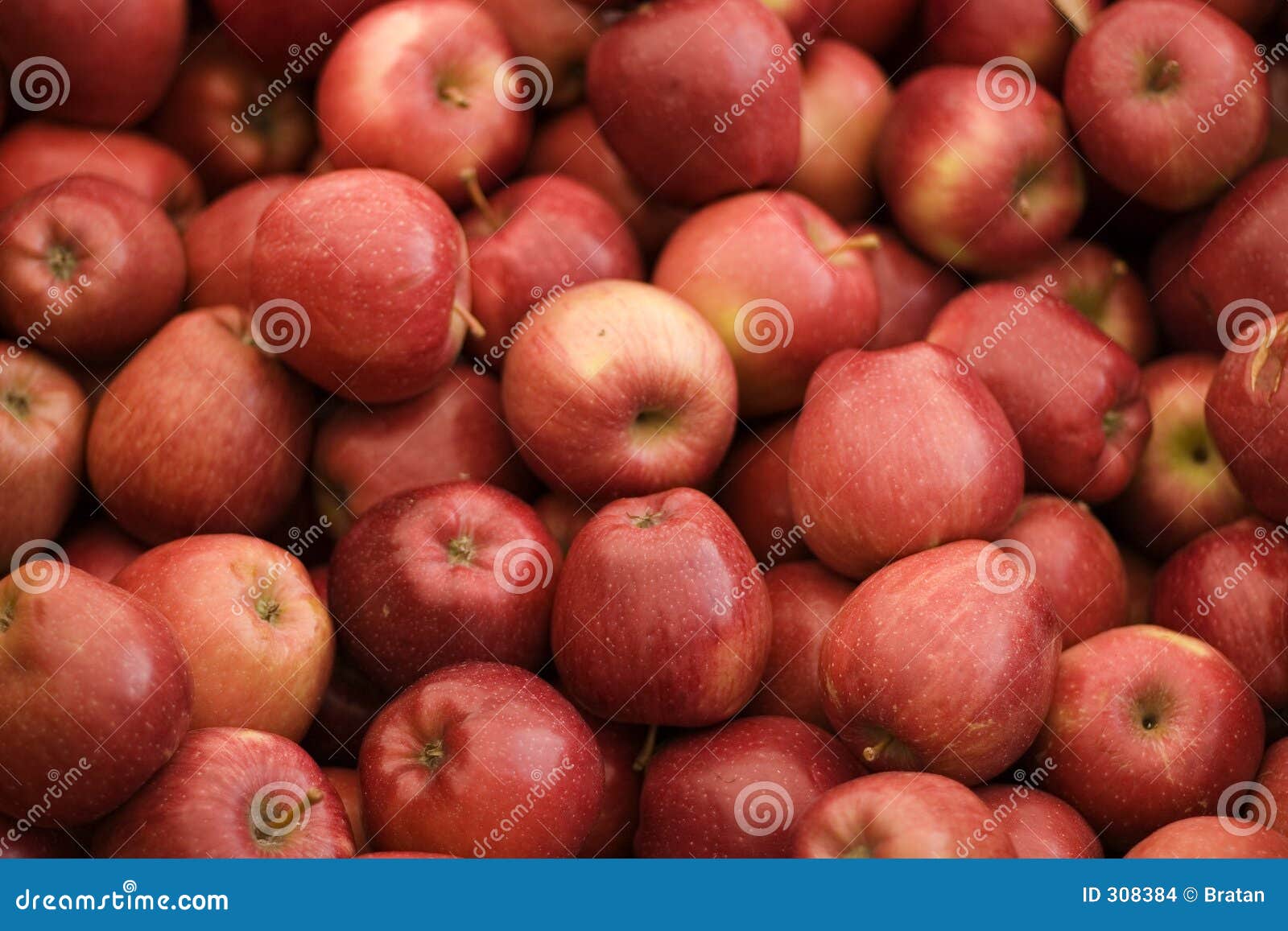 Red apples stock photo. Image of round, apples, pattern - 308384