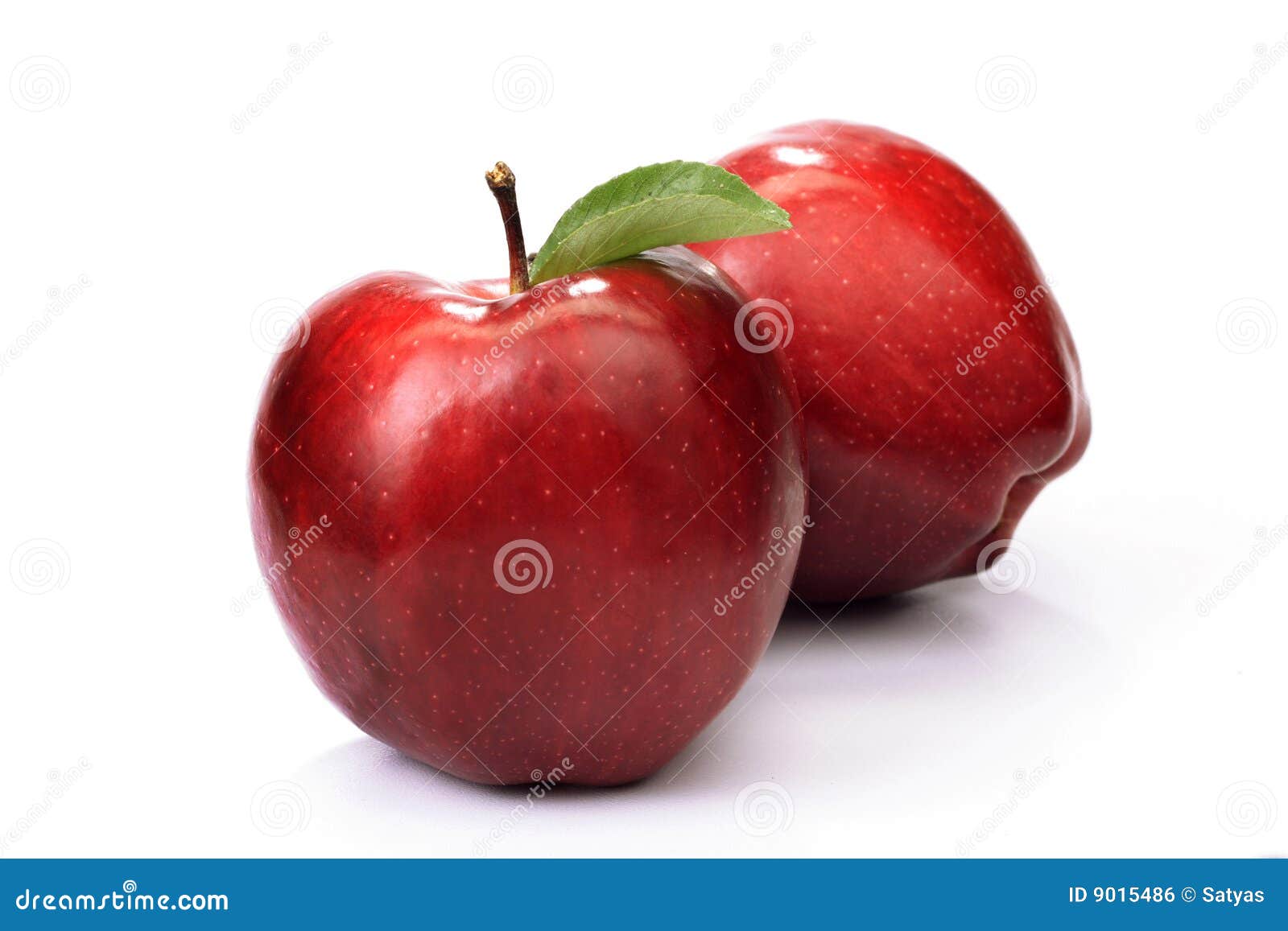 Red apples stock photo. Image of eating, refreshment, macro - 9015486
