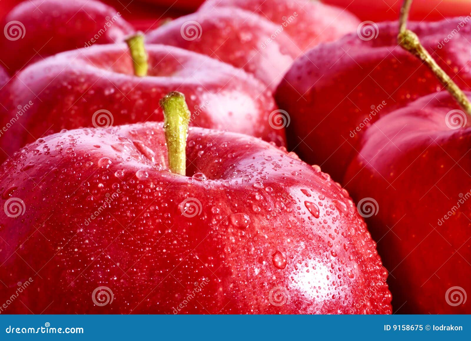 Red Apples stock image. Image of closeup, color, nature - 9158675