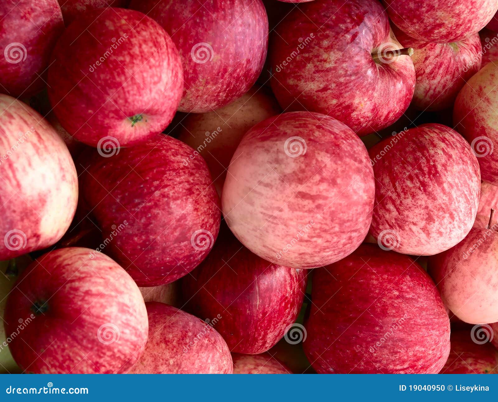 Red apples background stock photo. Image of ripe, colorful - 19040950