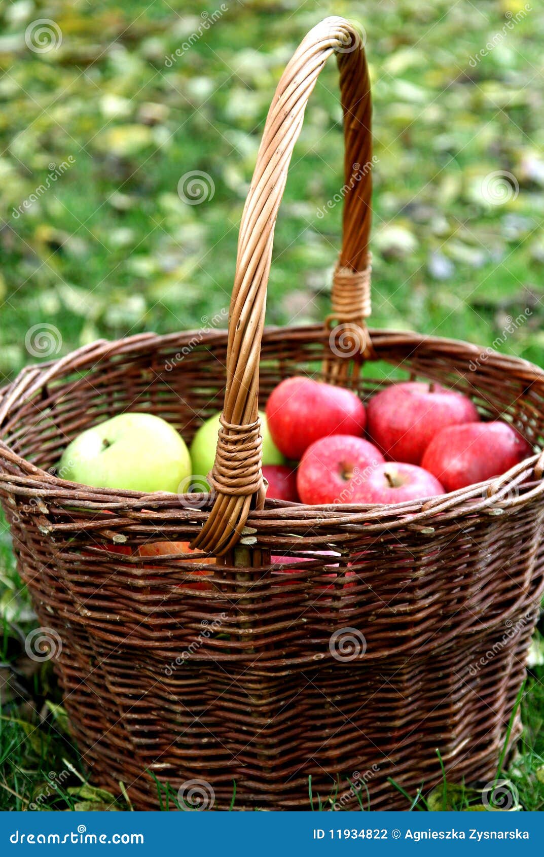 Red apples in the basket stock photo. Image of juicy - 11934822