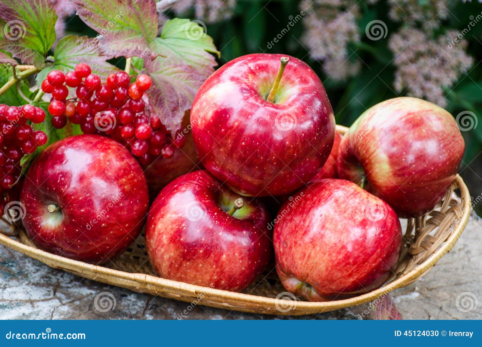 Red Apples in the basket stock photo. Image of close - 45124030
