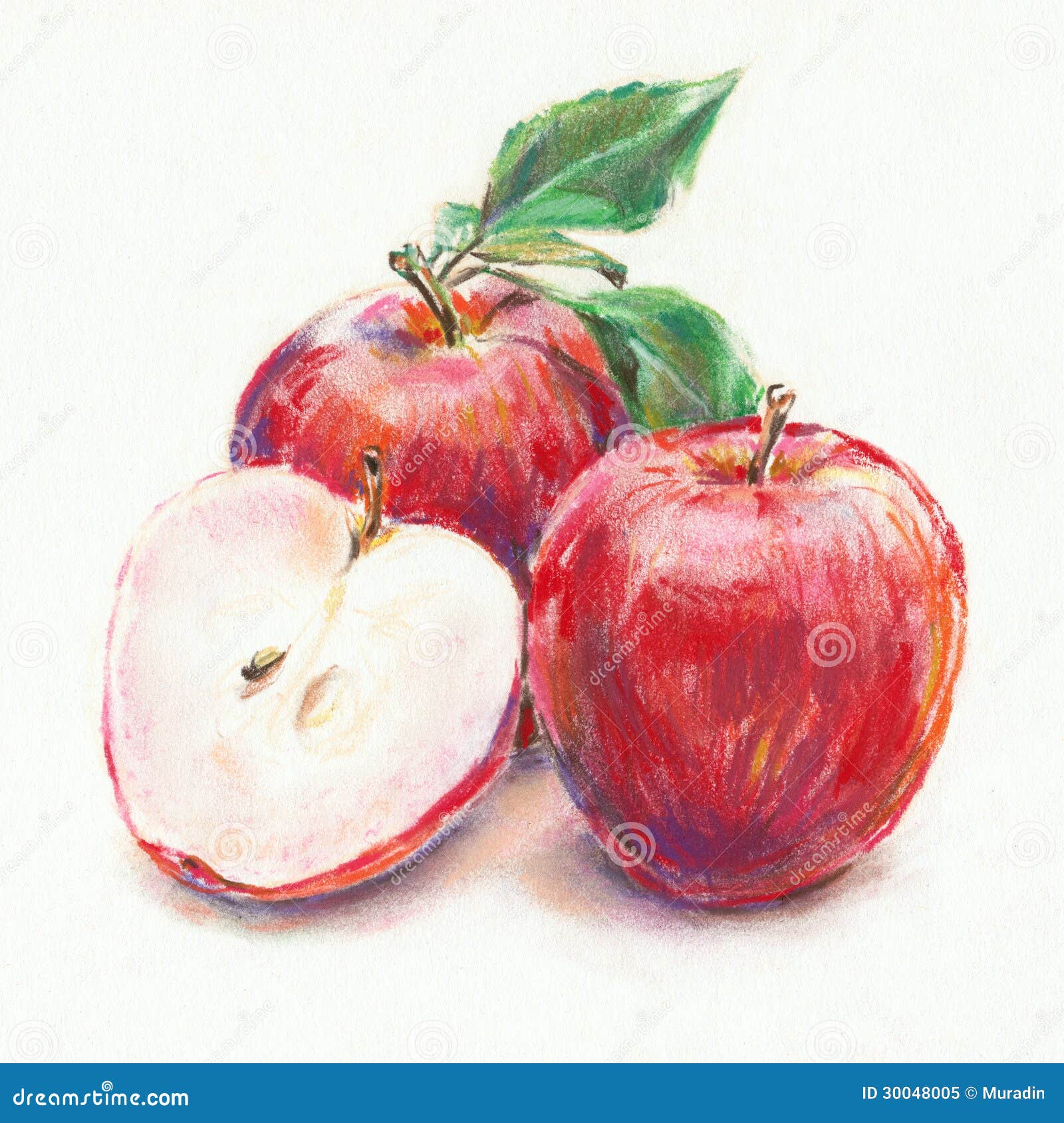 Red apples stock illustration. Illustration of apple - 30048005