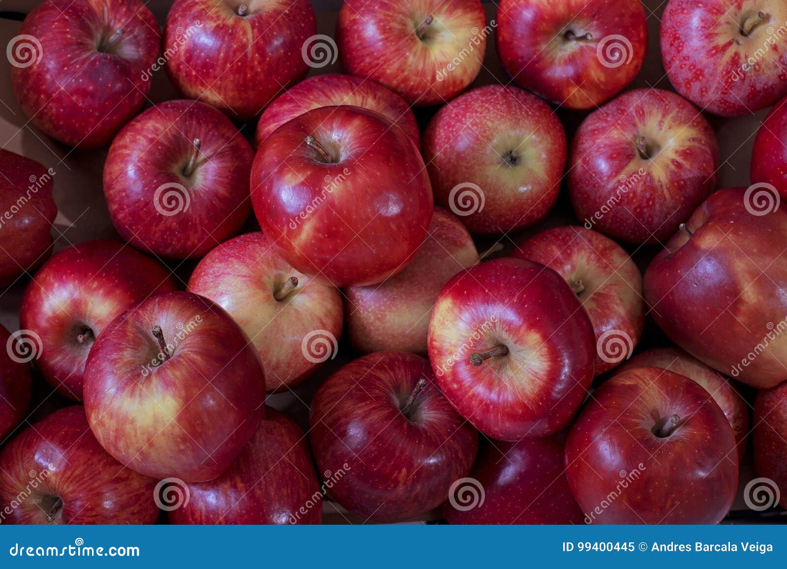 Red Apples stock image. Image of fruit, apples, vegetarian - 99400445