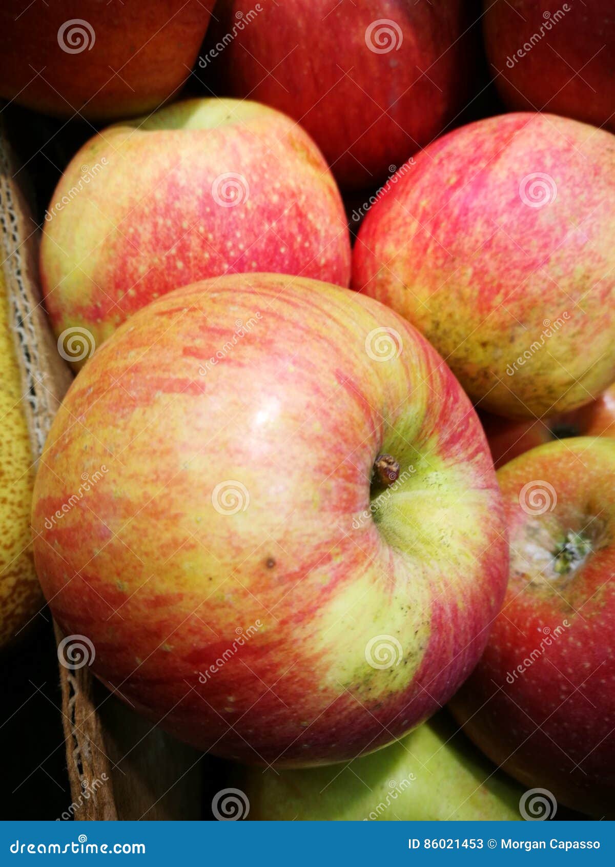 Red apples stock image. Image of organic, fresh, fruit - 86021453