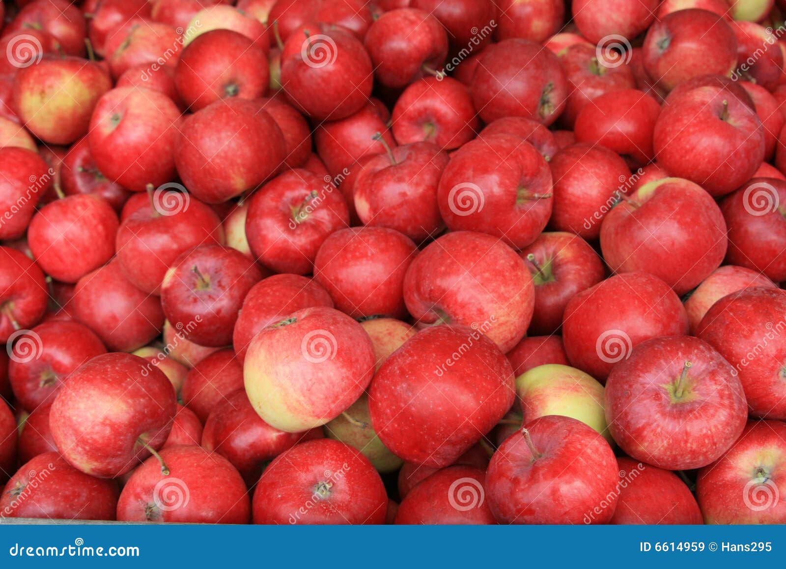 Red apples for sale stock image. Image of farmer, wholesome - 6614959