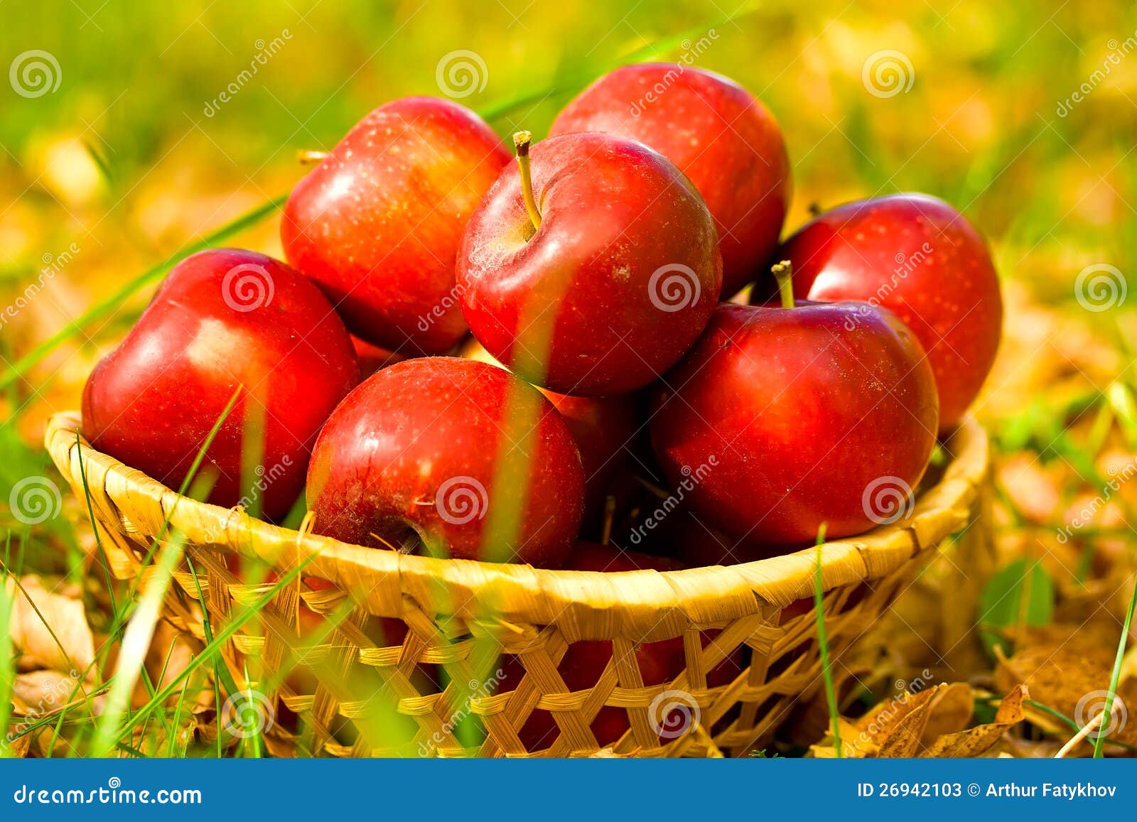 Red Apples in Wicker Basket Stock Image - Image of growth, green: 26942103