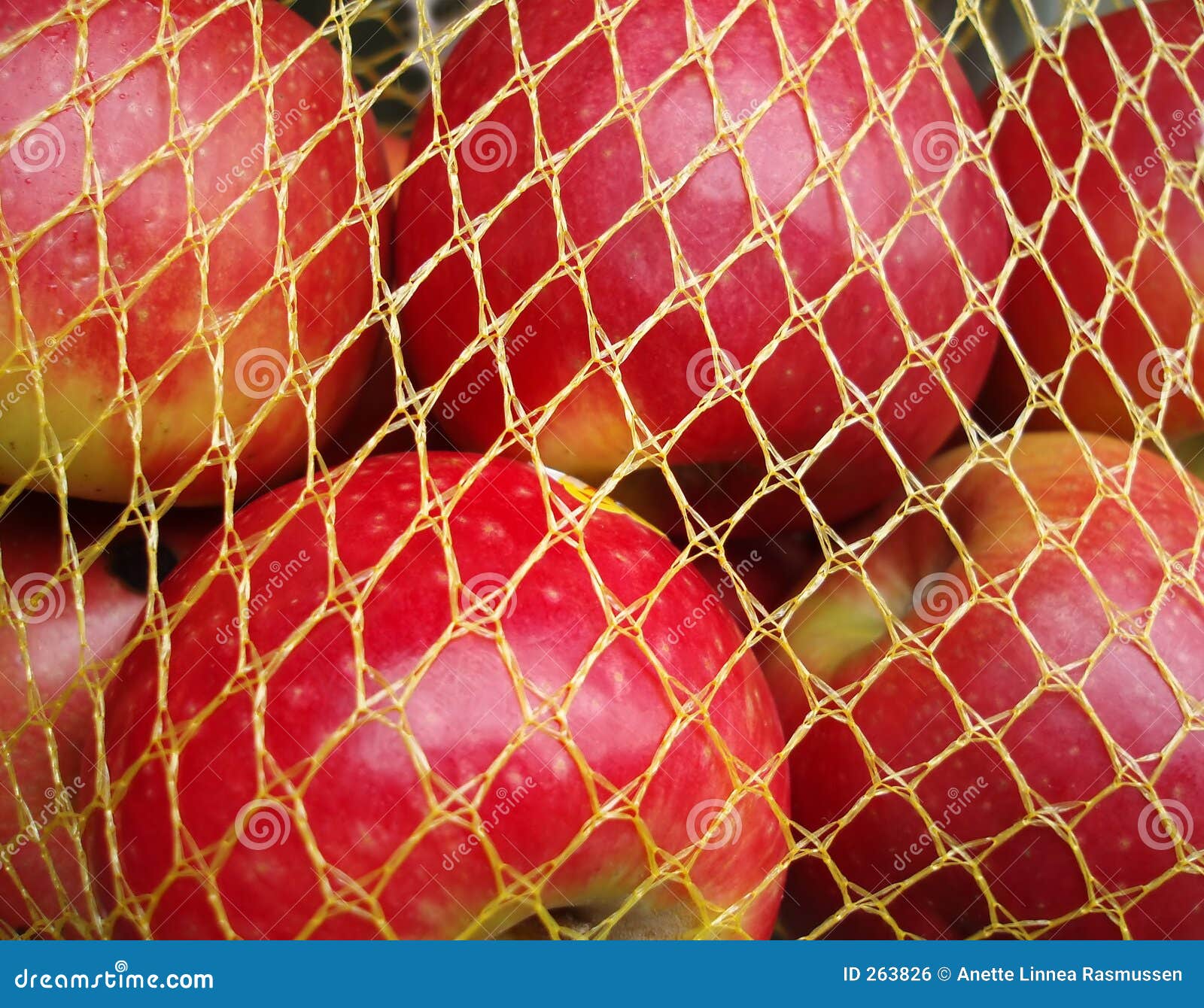 Red apples in yellow net stock photo. Image of seasonal - 263826