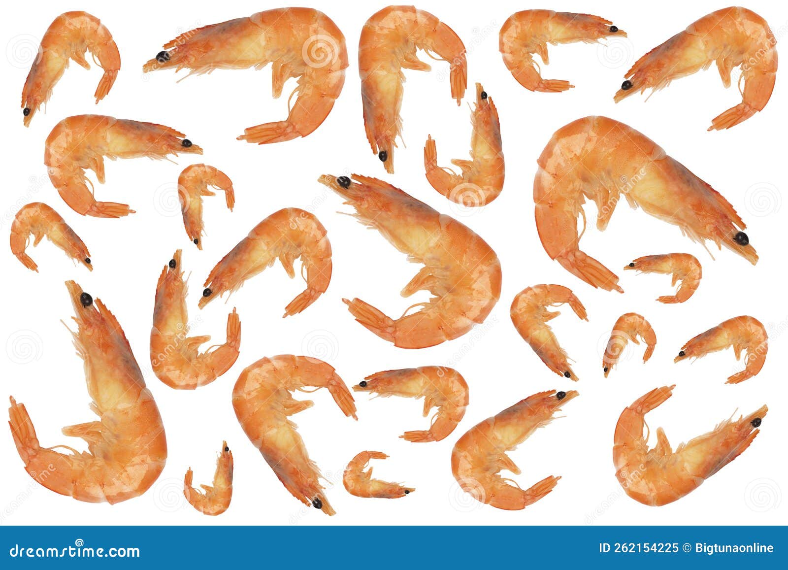 Red Argentine Shrimp Isolated on White Background. Large Tiger Shrimp ...