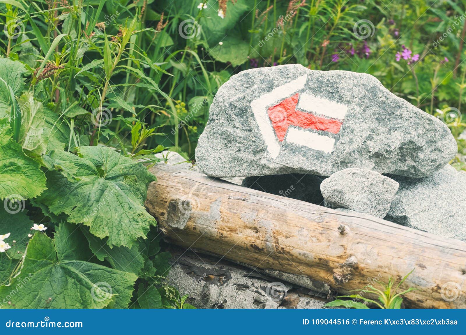 Red Arrow Hiking Trail Mark Stock Photo - Image of adventure, path ...