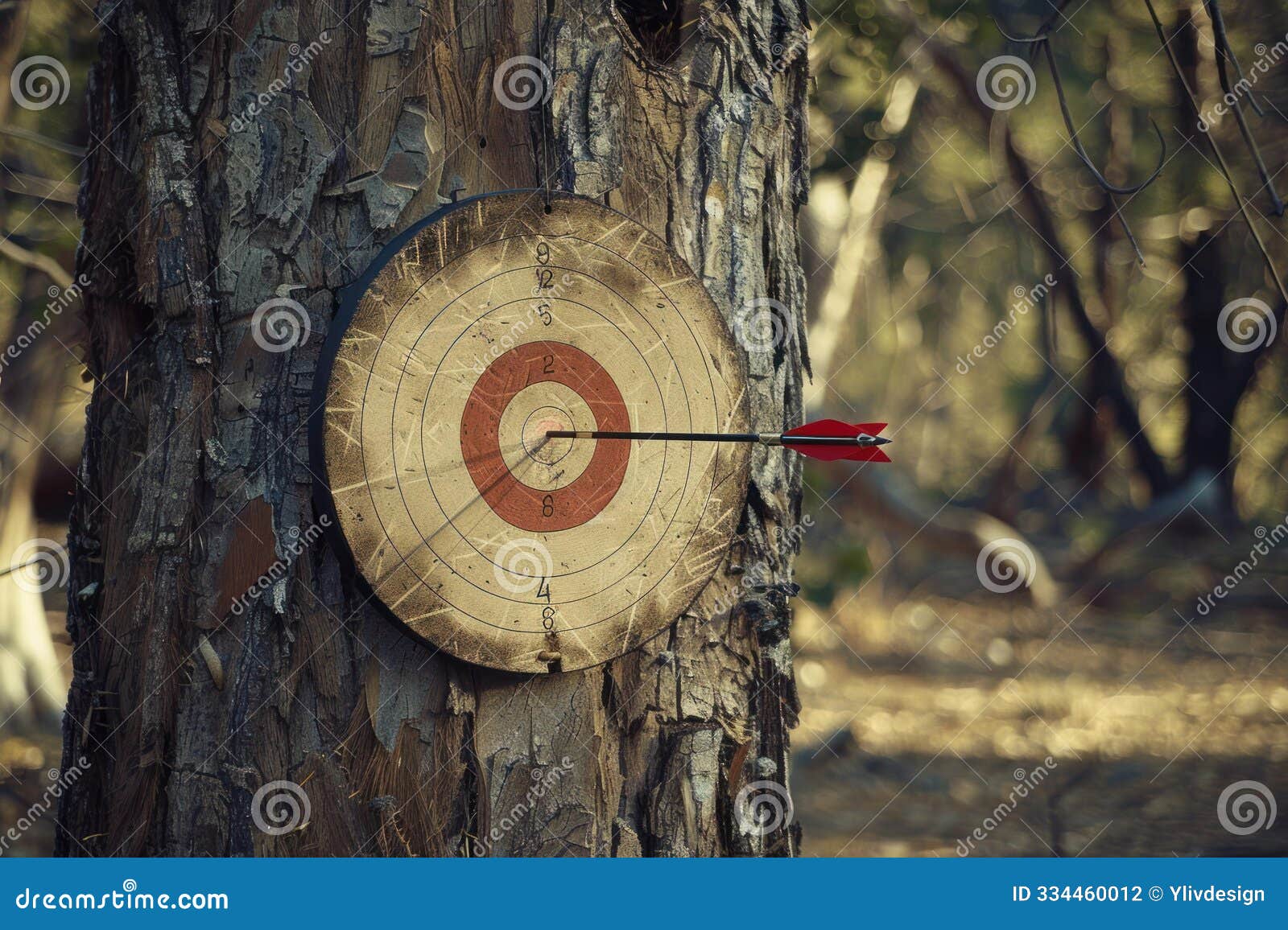 Target Tree Marks Stock Image | CartoonDealer.com #132359833