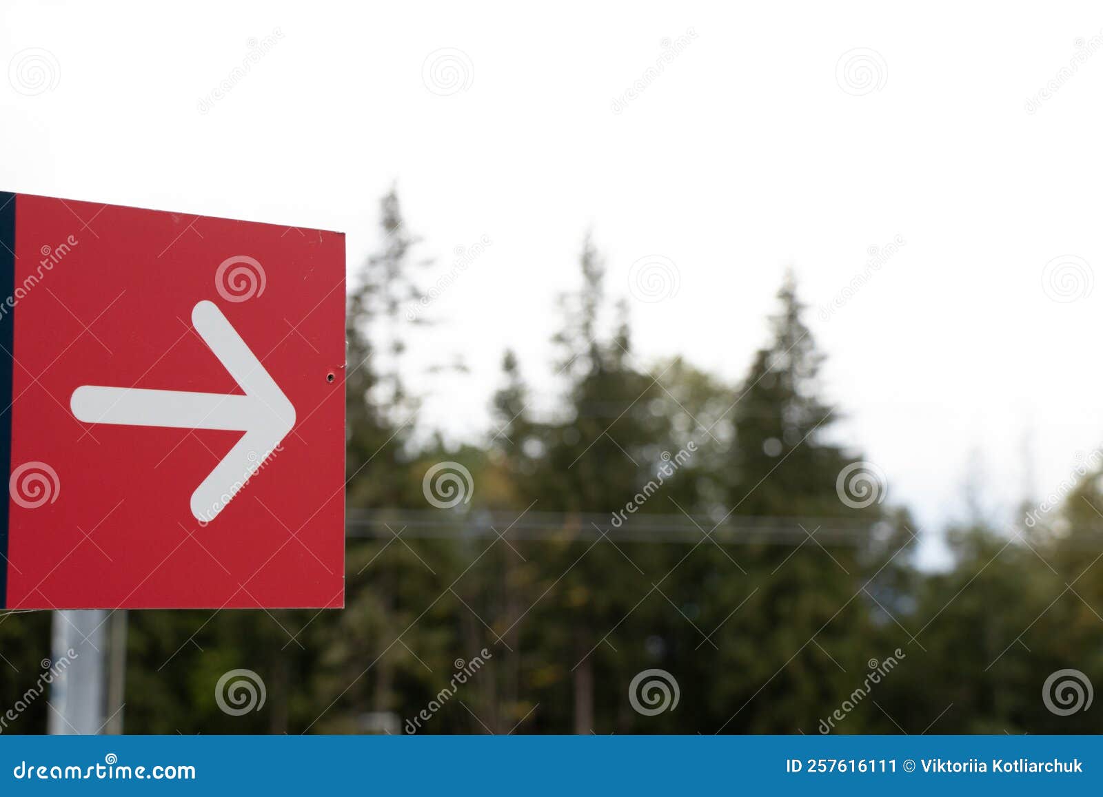 Red Arrow To the Right Against the Background of a Green Forest in the ...