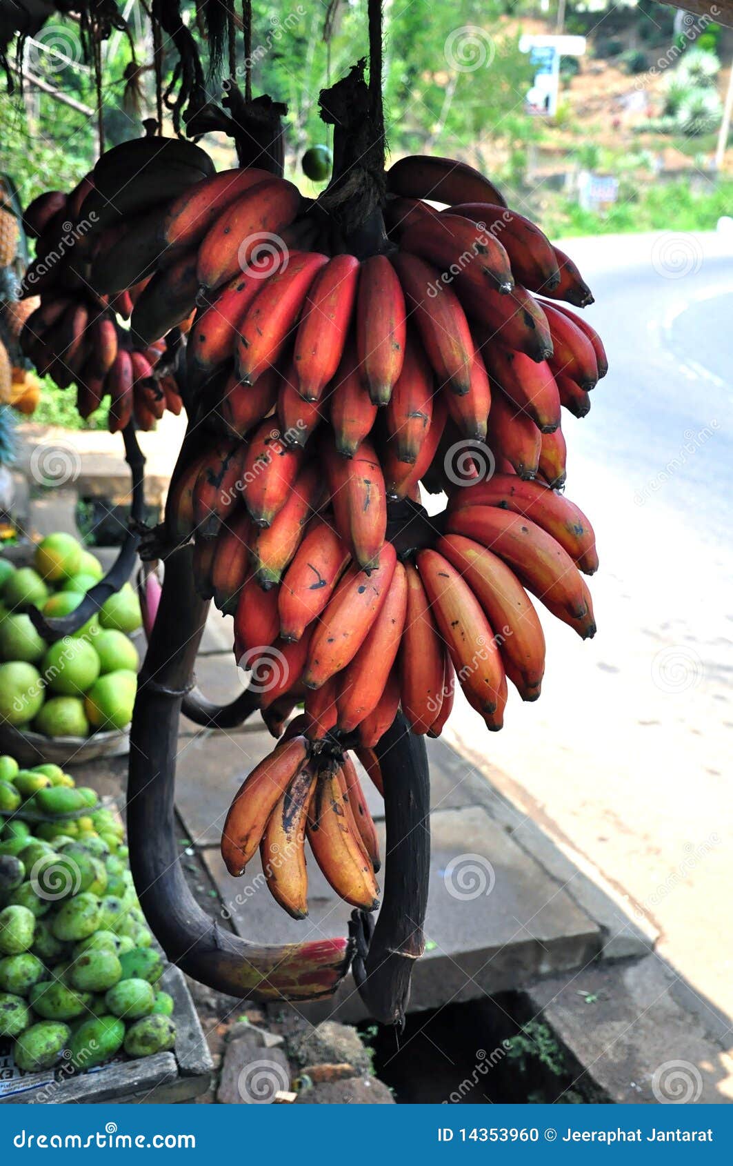 Red Asian Banana stock photo. Image of nutrition, asia - 14353960