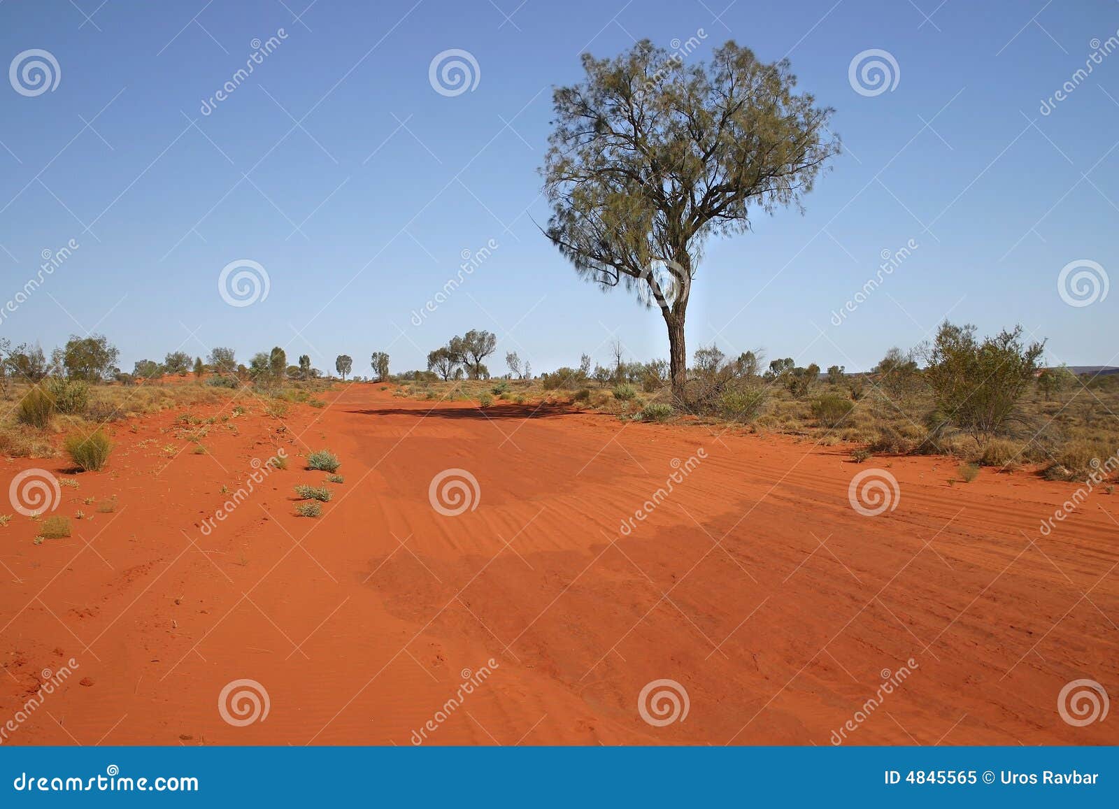 Red Australian landscape stock image. Image of outside - 4845565
