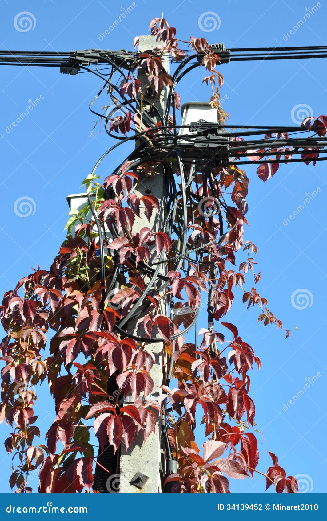 Telecom Pole Royalty-Free Stock Image | CartoonDealer.com #42430474