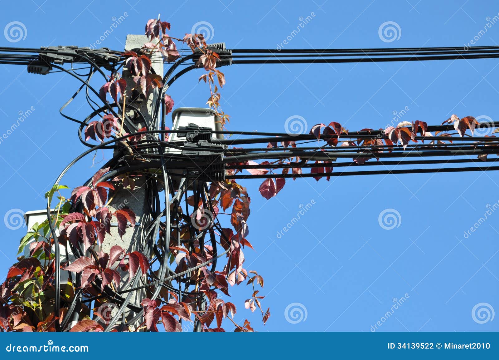Telecom Pole Royalty-Free Stock Image | CartoonDealer.com #42430474