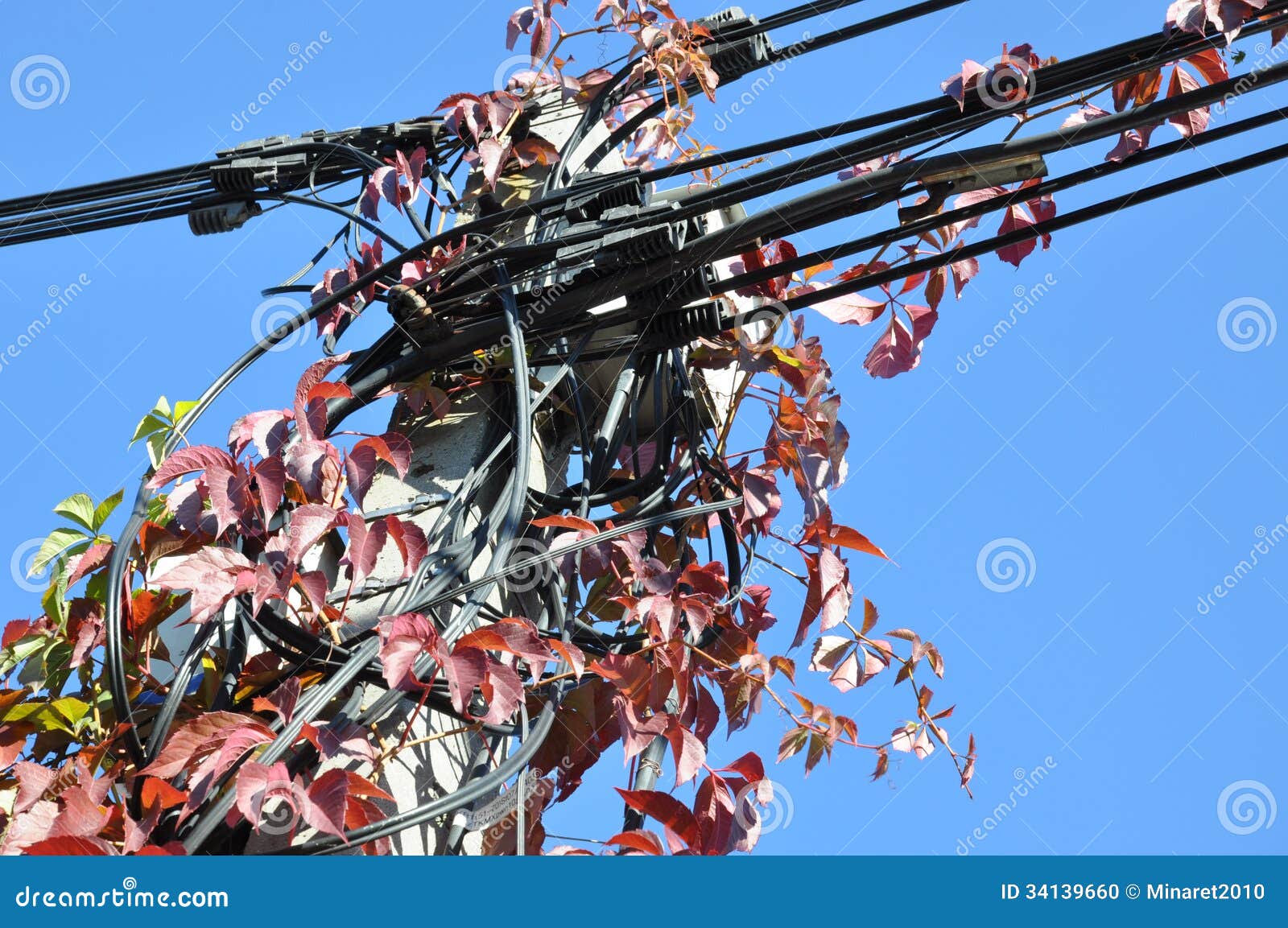 Telecom Pole Royalty-Free Stock Image | CartoonDealer.com #42430474