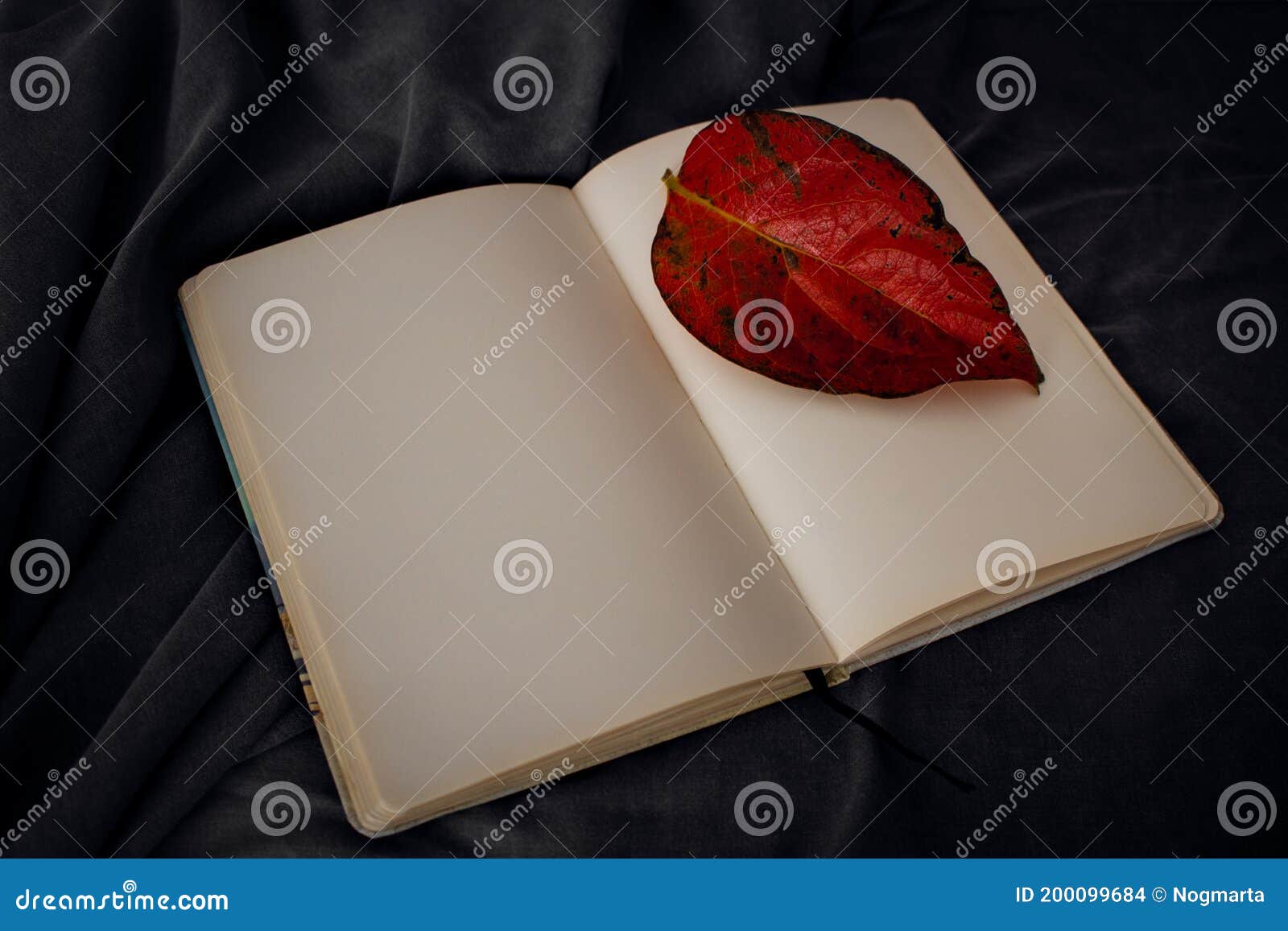 Red Autumn Leaf Lying on Top of Notebook Empty Page Stock Photo - Image ...