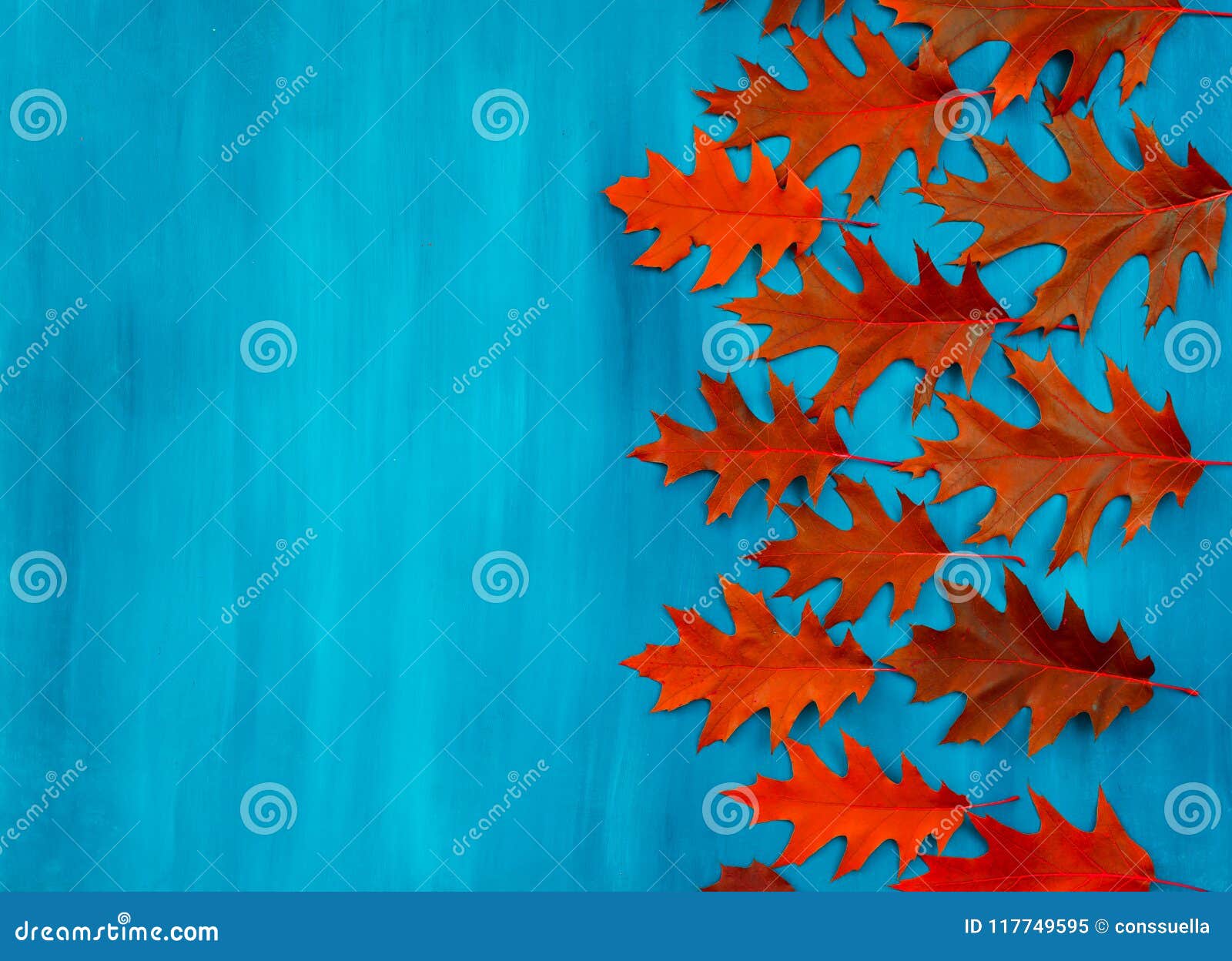 Red Oak Leaves Pattern on a Blue Background Stock Image - Image of leaf ...