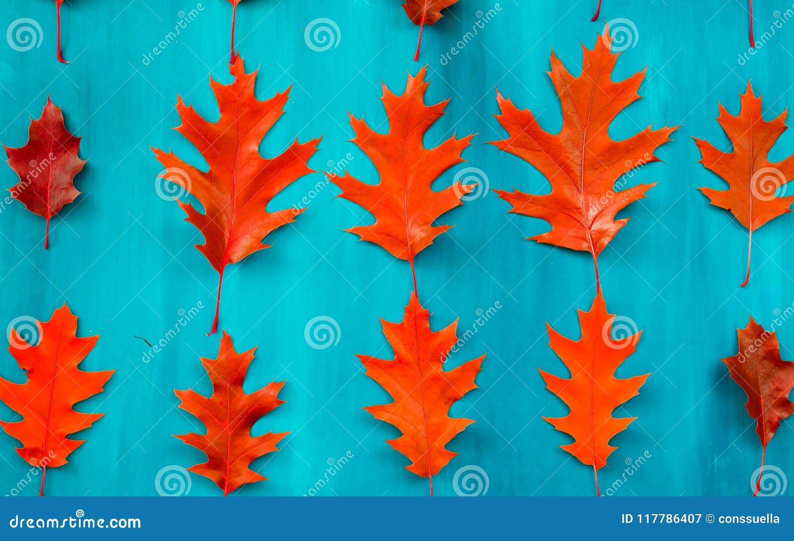 Red Oak Leaves Pattern on a Blue Background Stock Image - Image of ...
