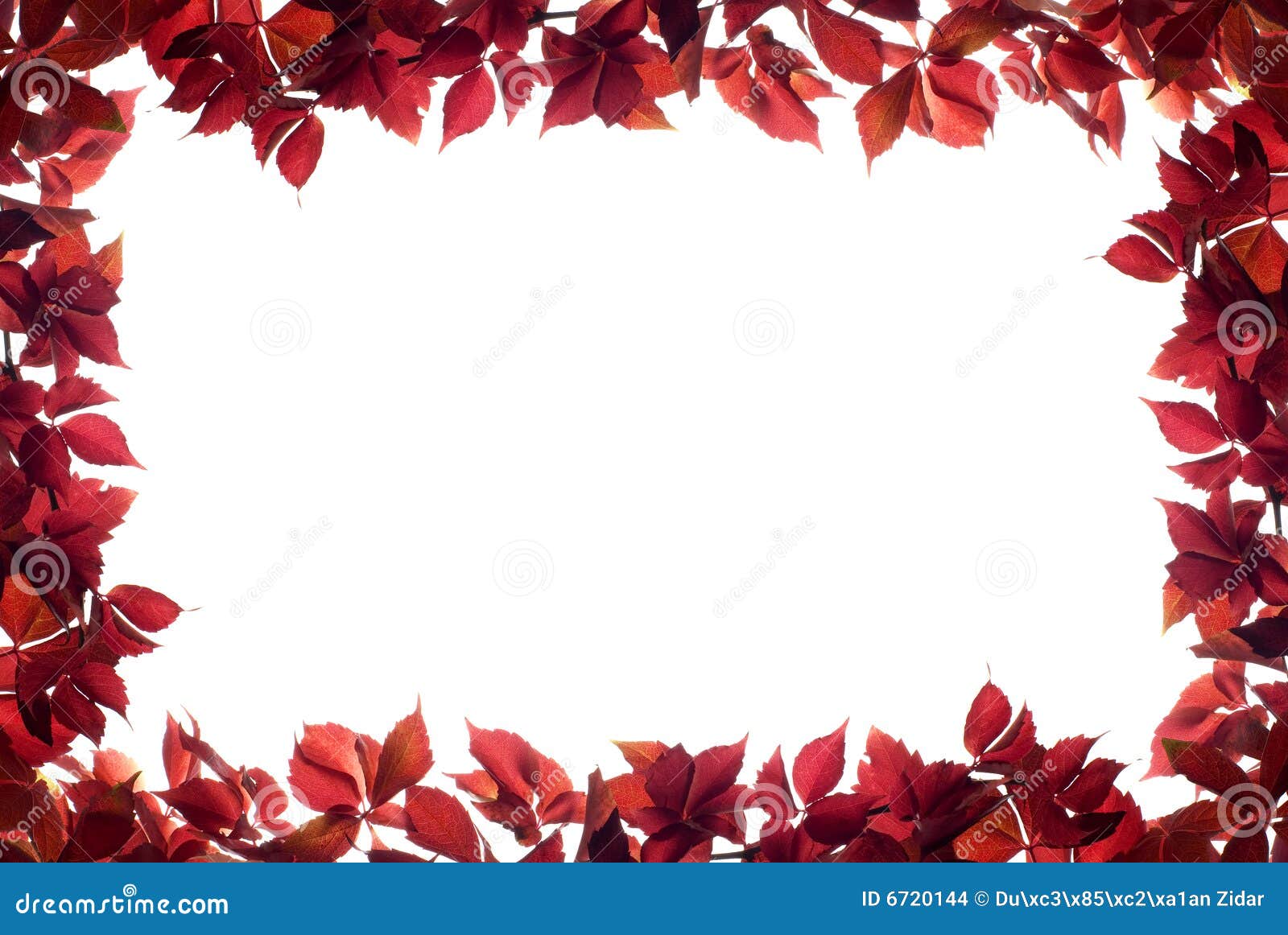 Red autumn leaves border stock photo. Image of autumnal - 6720144
