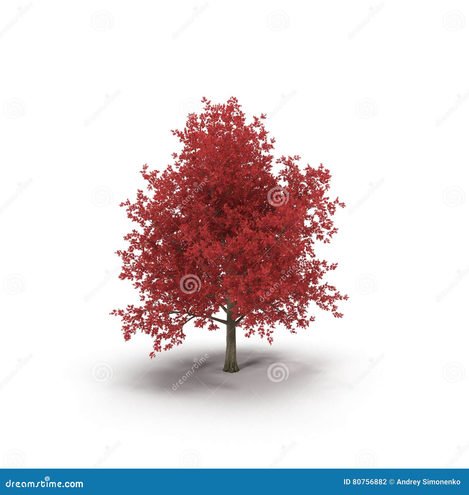 Red Autumn Maple Tree Isolated on White. 3D Illustration Stock ...