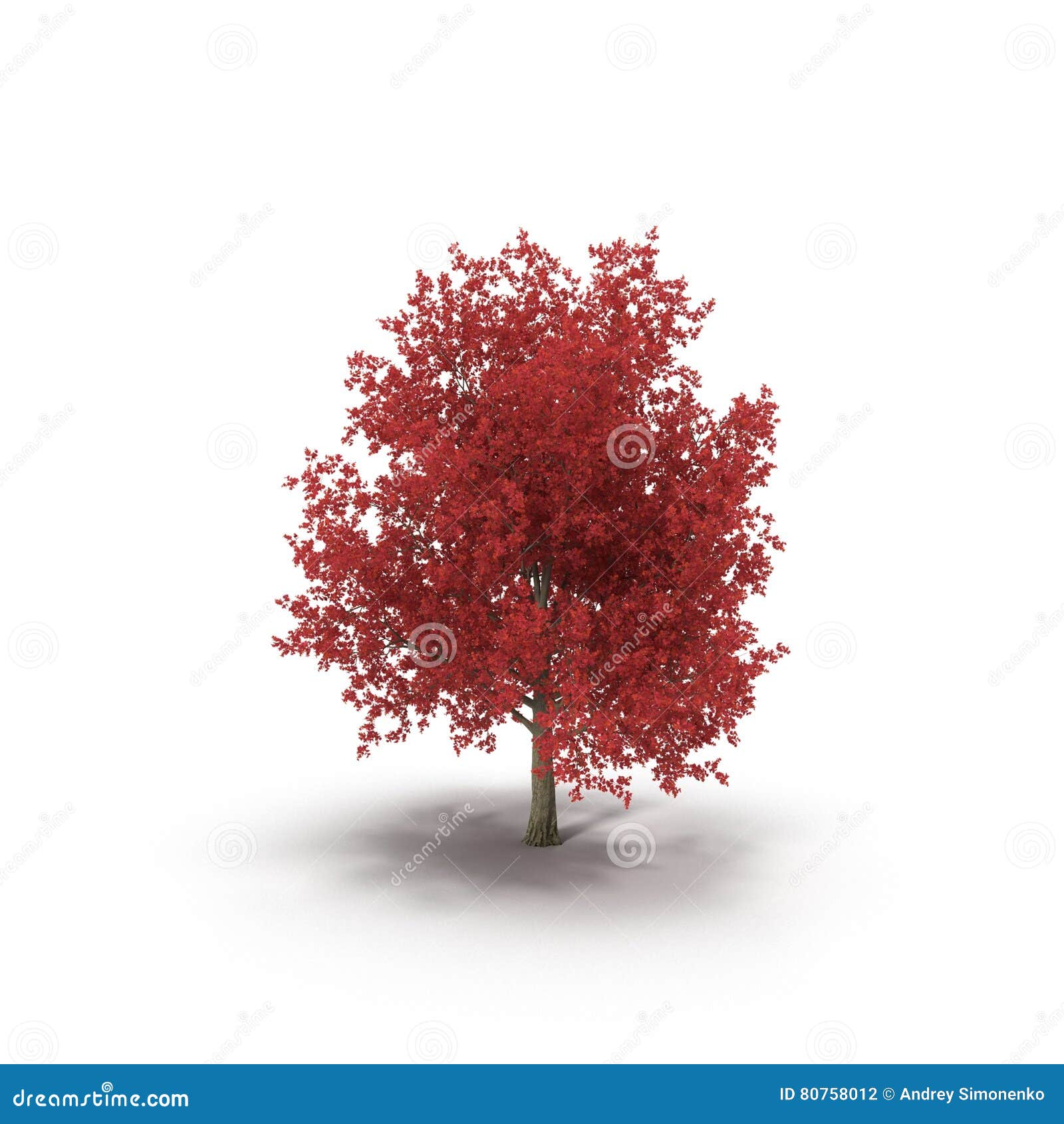 Red Autumn Maple Tree Isolated on White. 3D Illustration Stock ...