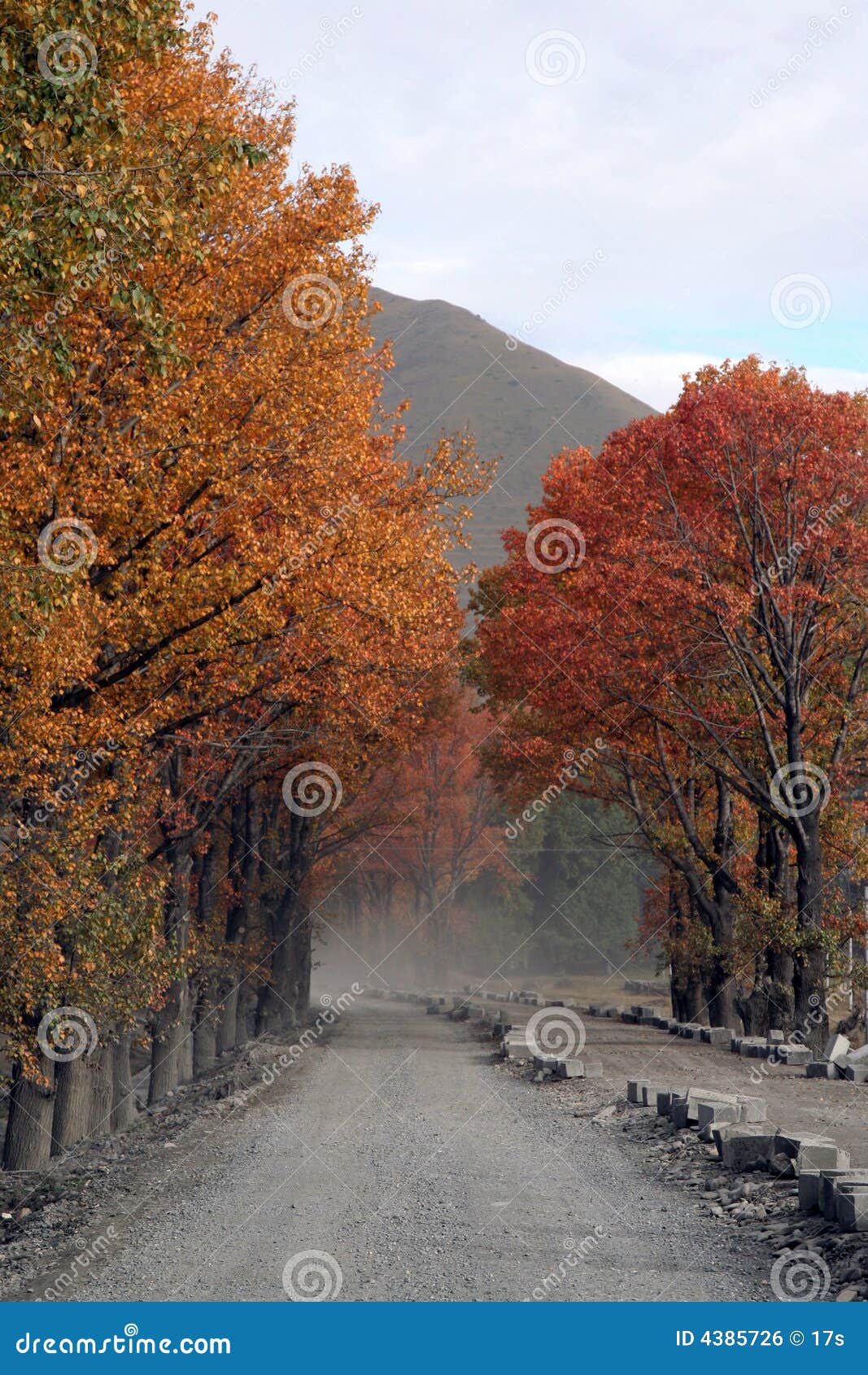 786 Automn Trees Stock Photos - Free & Royalty-Free Stock Photos from ...