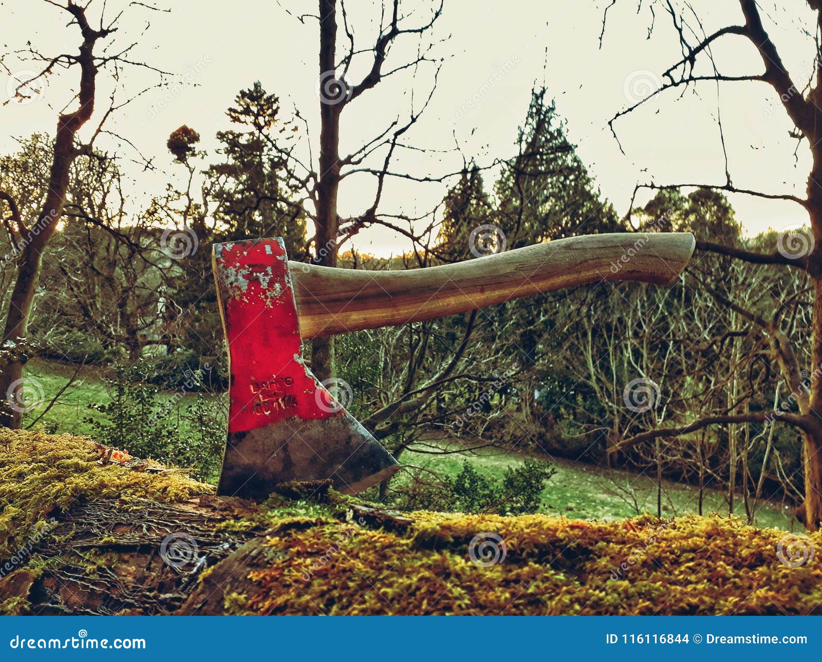 Red axe in log stock photo. Image of tree, wood, plant - 116116844