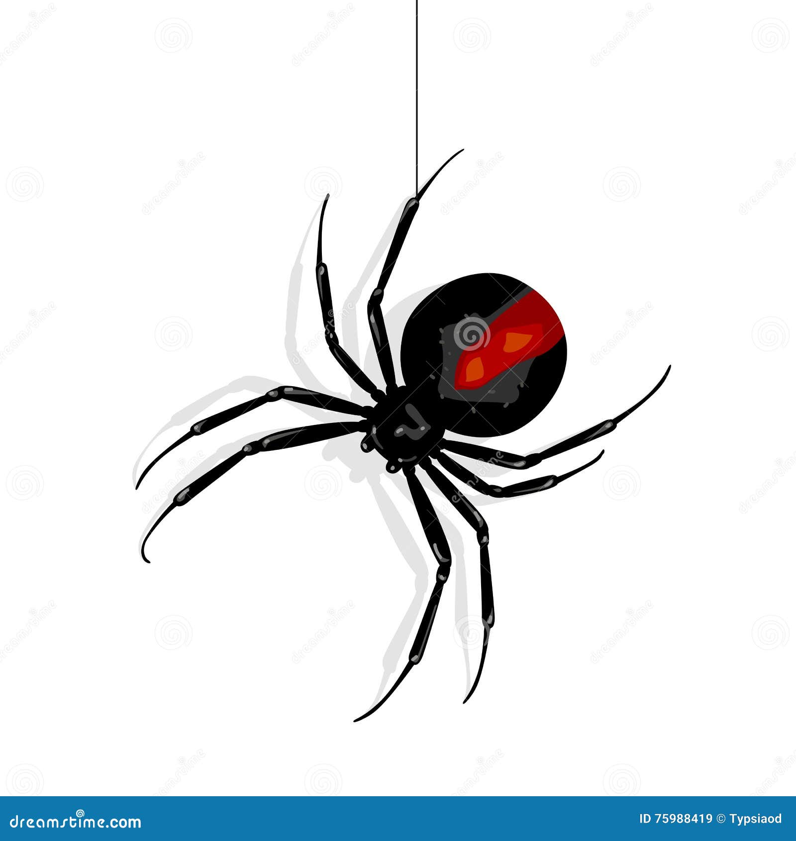 Red back spider. stock vector. Illustration of cartoon - 75988419
