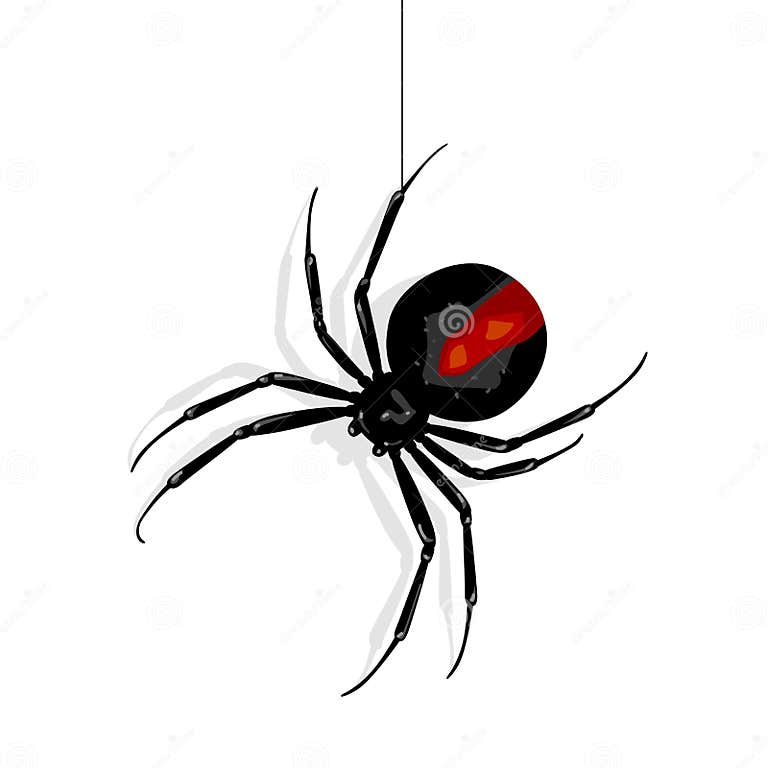Red back spider. stock vector. Illustration of cartoon - 75988419