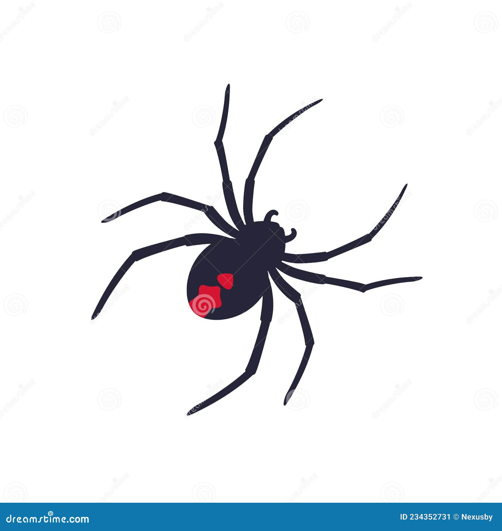 Red Back Spider on White, Vector Art Stock Vector - Illustration of ...