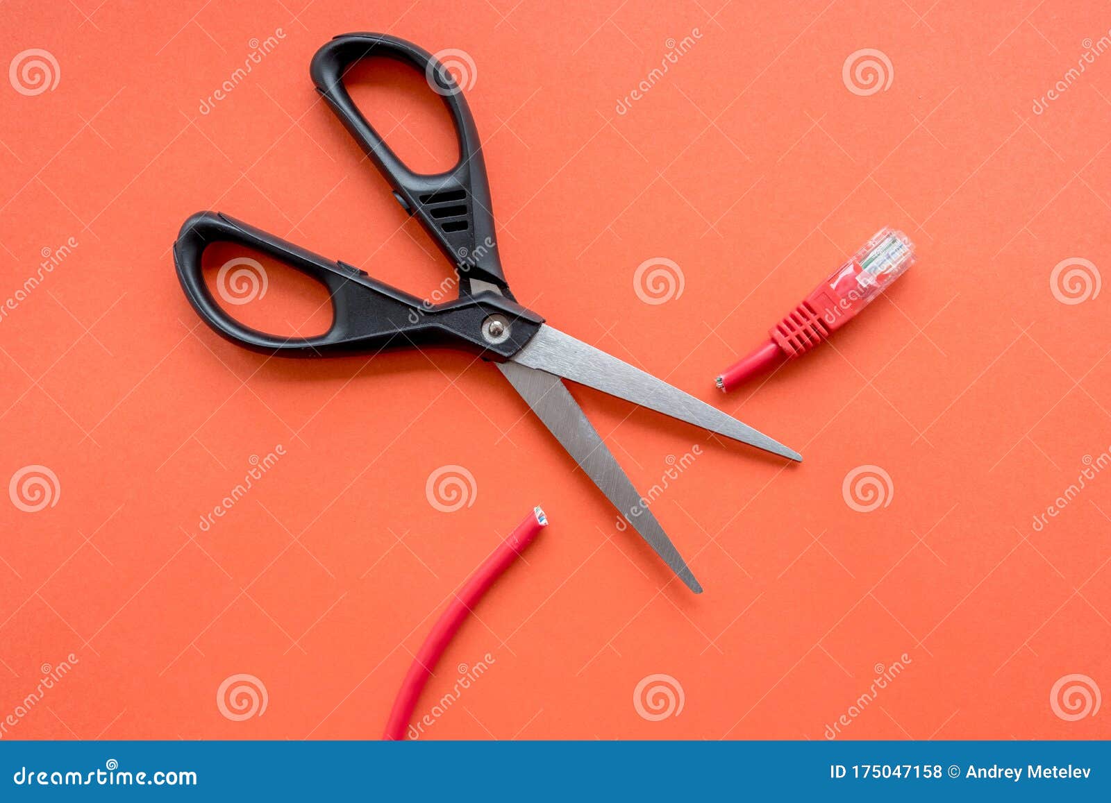 On a Red Background the Internet Cable with the Connector is Cut into ...