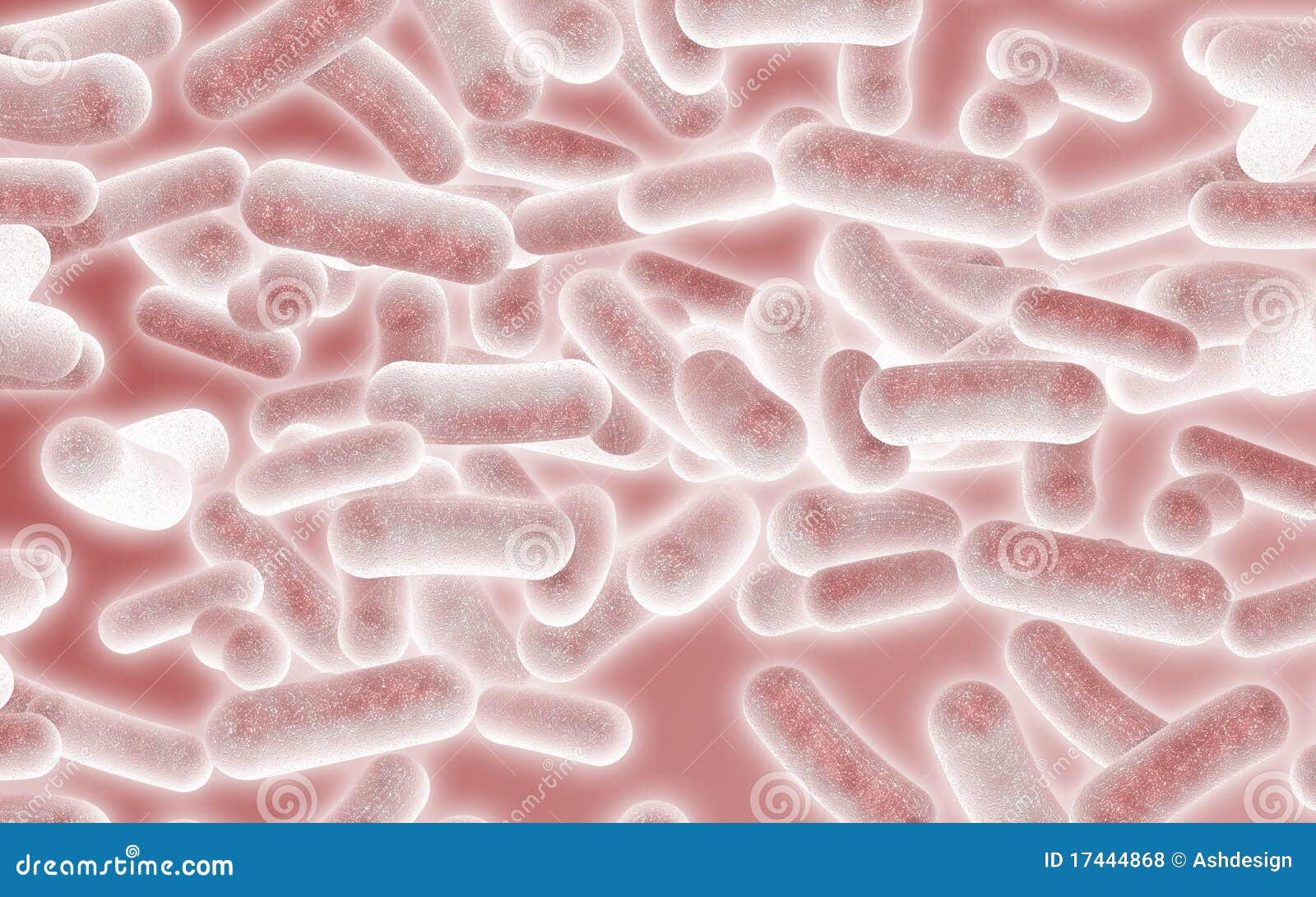 Red Bacteria stock illustration. Illustration of magnification - 17444868