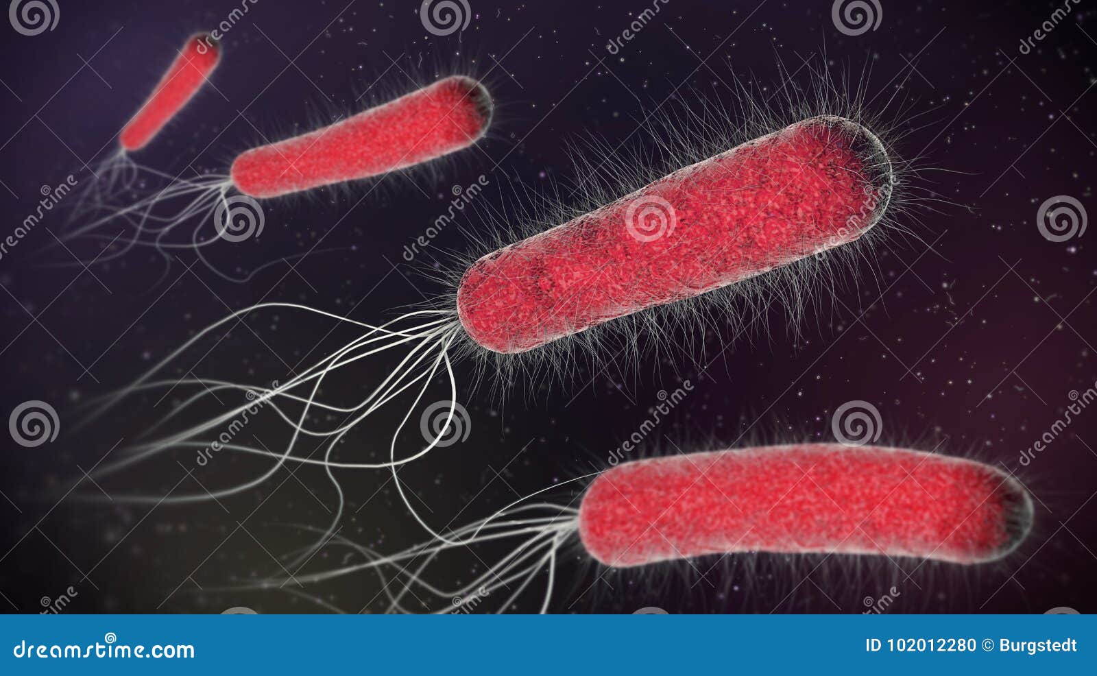 Red Bacteria or Single Cell Microorganisms Stock Illustration ...