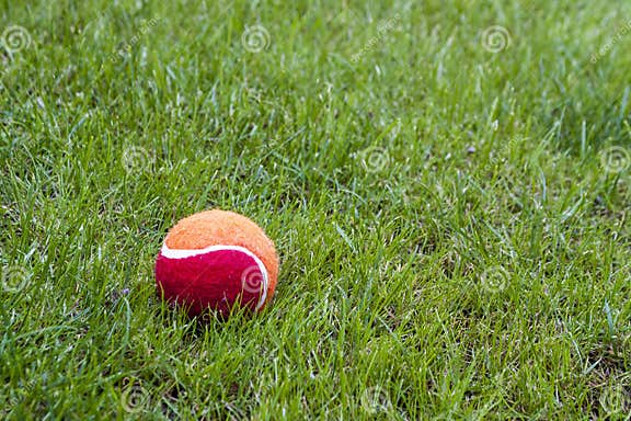 Red ball stock image. Image of leisure, competition, shine - 71087033