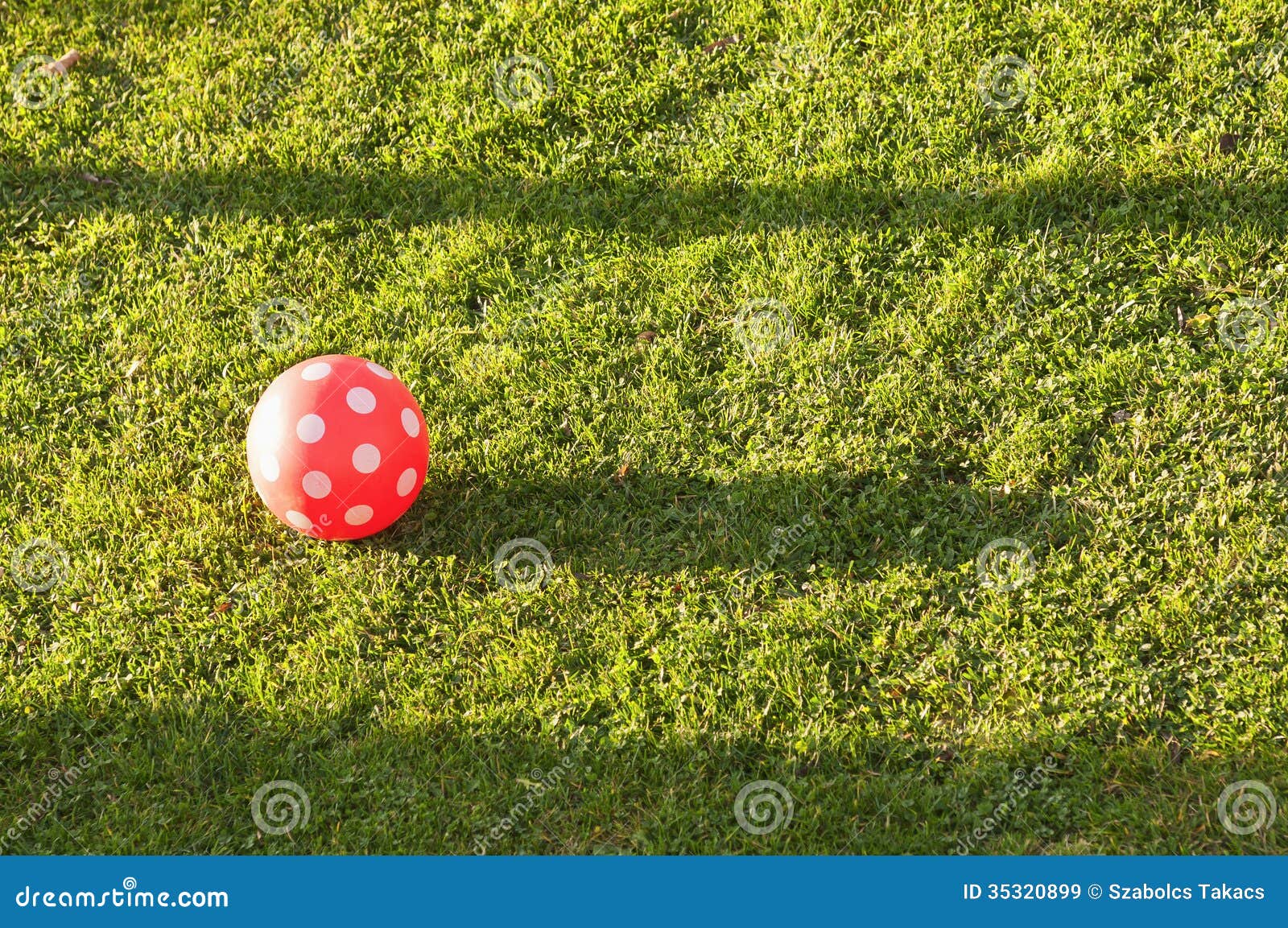 Red ball with green grass stock image. Image of garden - 35320899