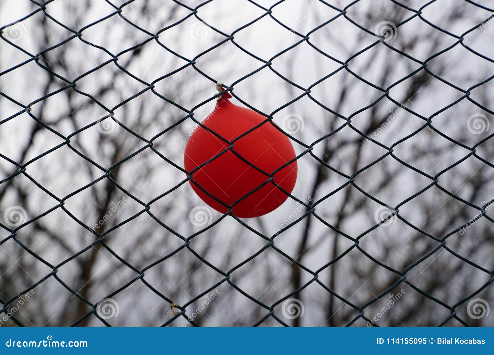 A Red Balloon Caught Wire Fence Stock Image - Image of text, steel ...