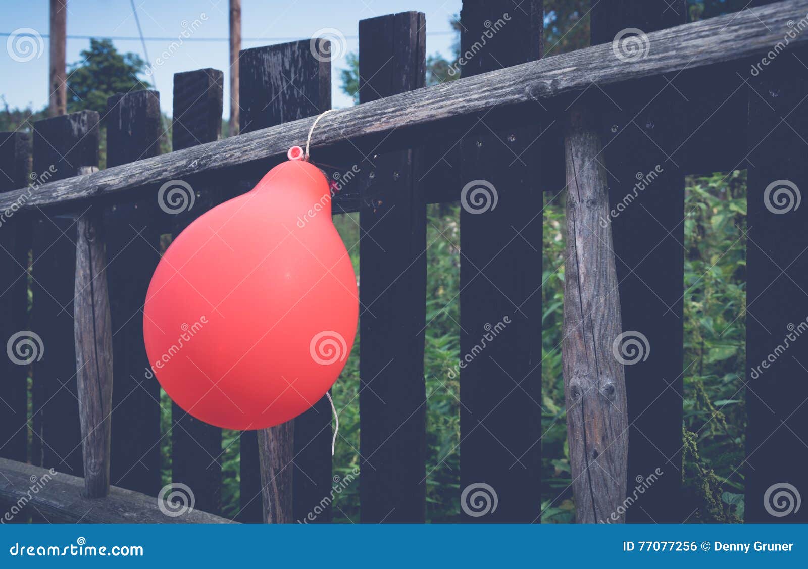 Red Balloon on Garden Fence Stock Photo - Image of balloon, concept ...